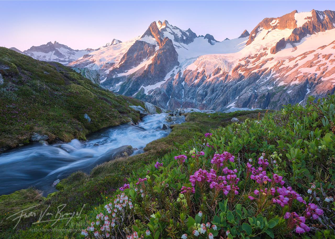 Pacific Northwest Spring Wallpapers - Top Free Pacific Northwest Spring ...