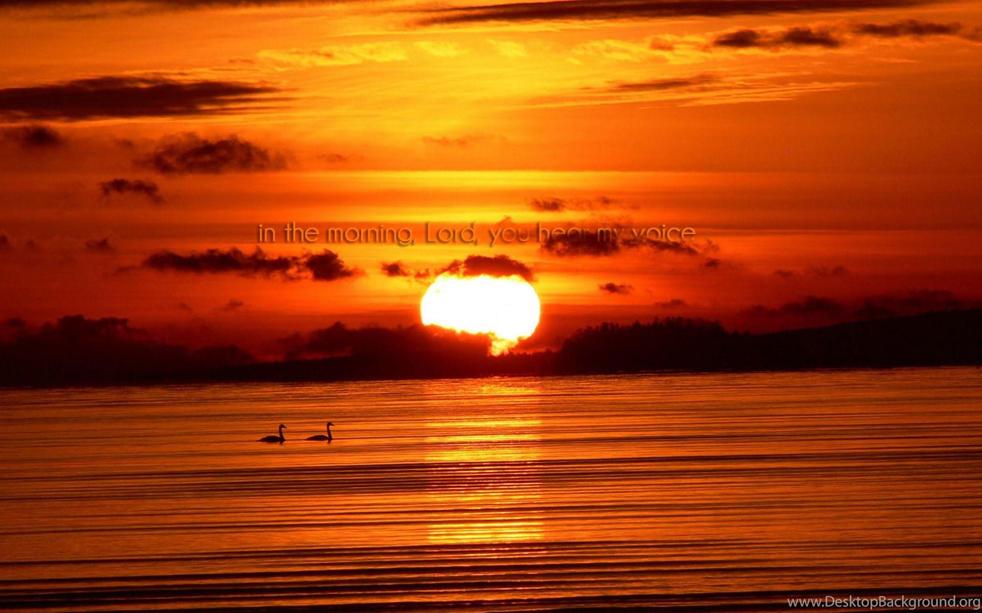 Beautiful Sun Wallpapers - Top Free Beautiful Sun Backgrounds ...