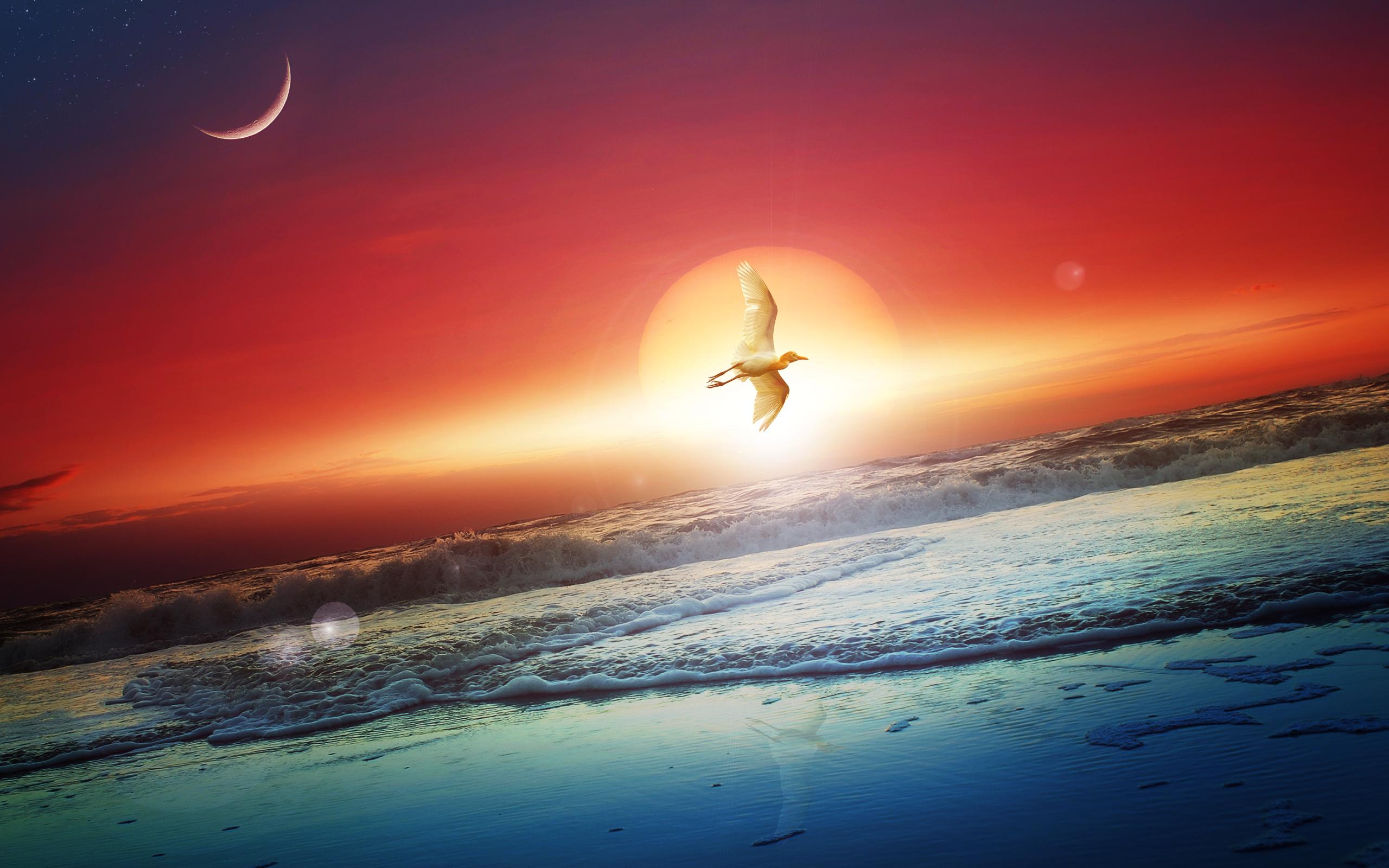 Beautiful Sun Wallpapers - Top Free Beautiful Sun Backgrounds ...