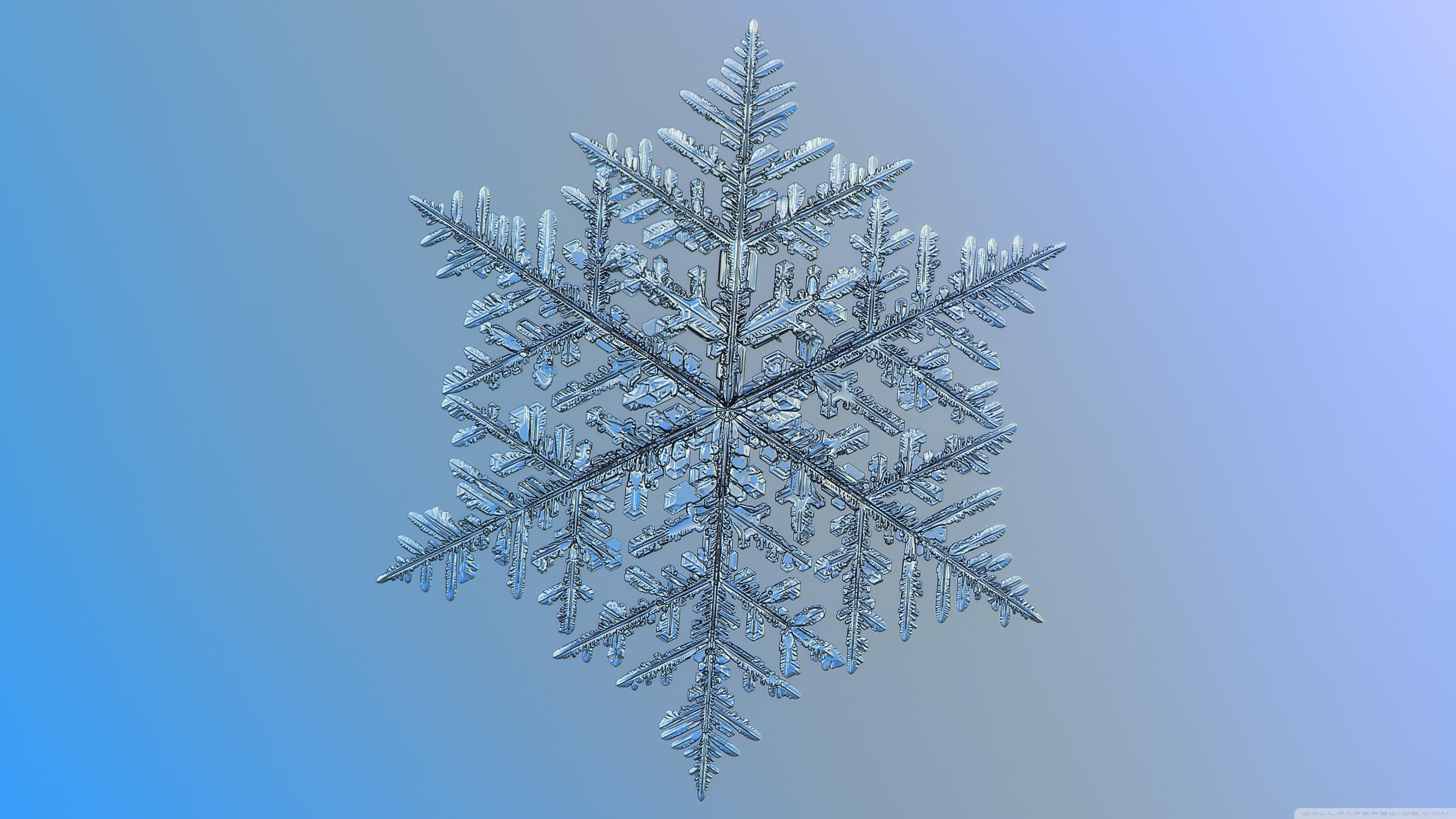 Cute Snowflake Wallpapers - Top Free Cute Snowflake Backgrounds ...