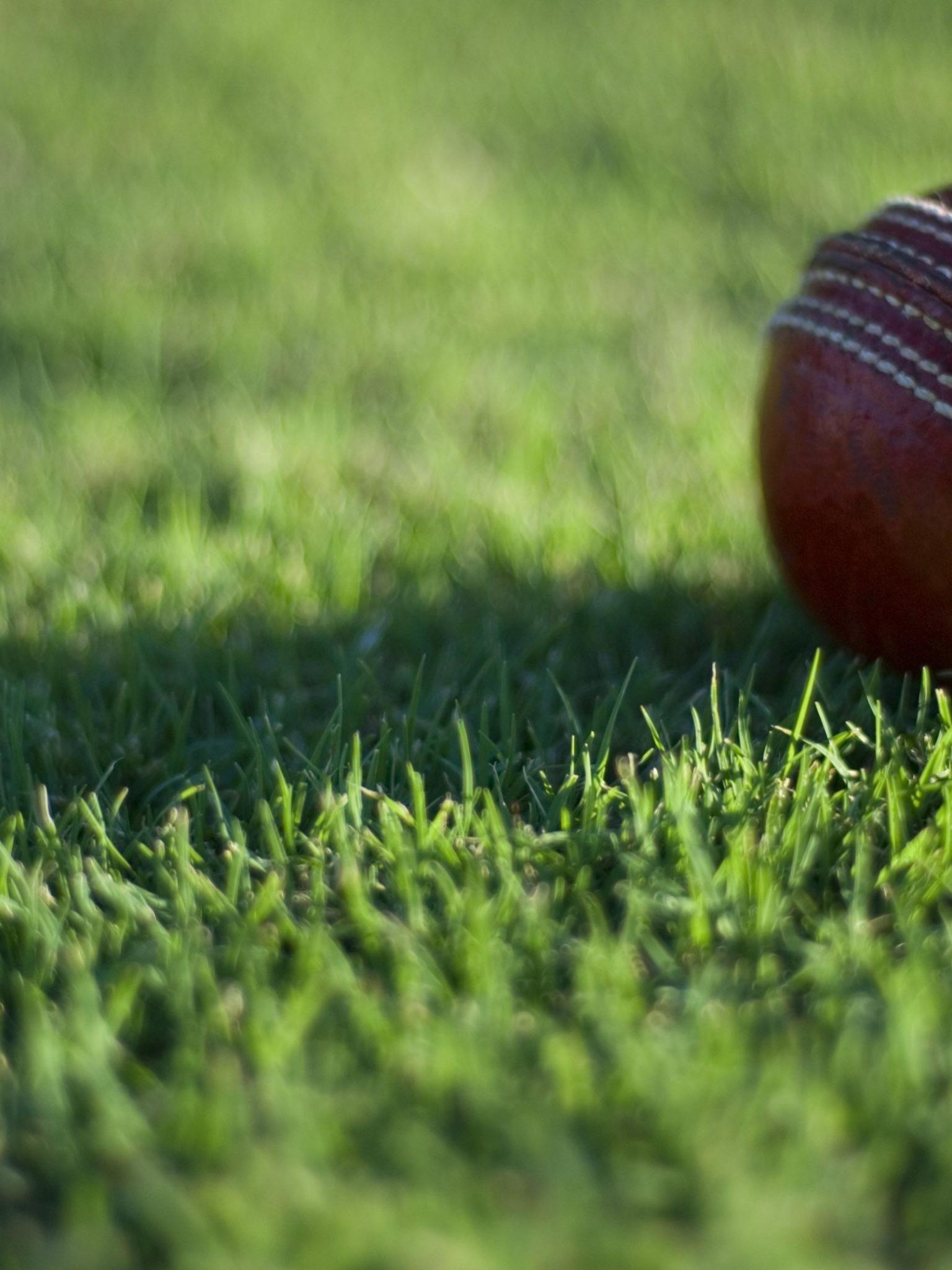 Cricket Phone Wallpapers - Top Free Cricket Phone Backgrounds ...