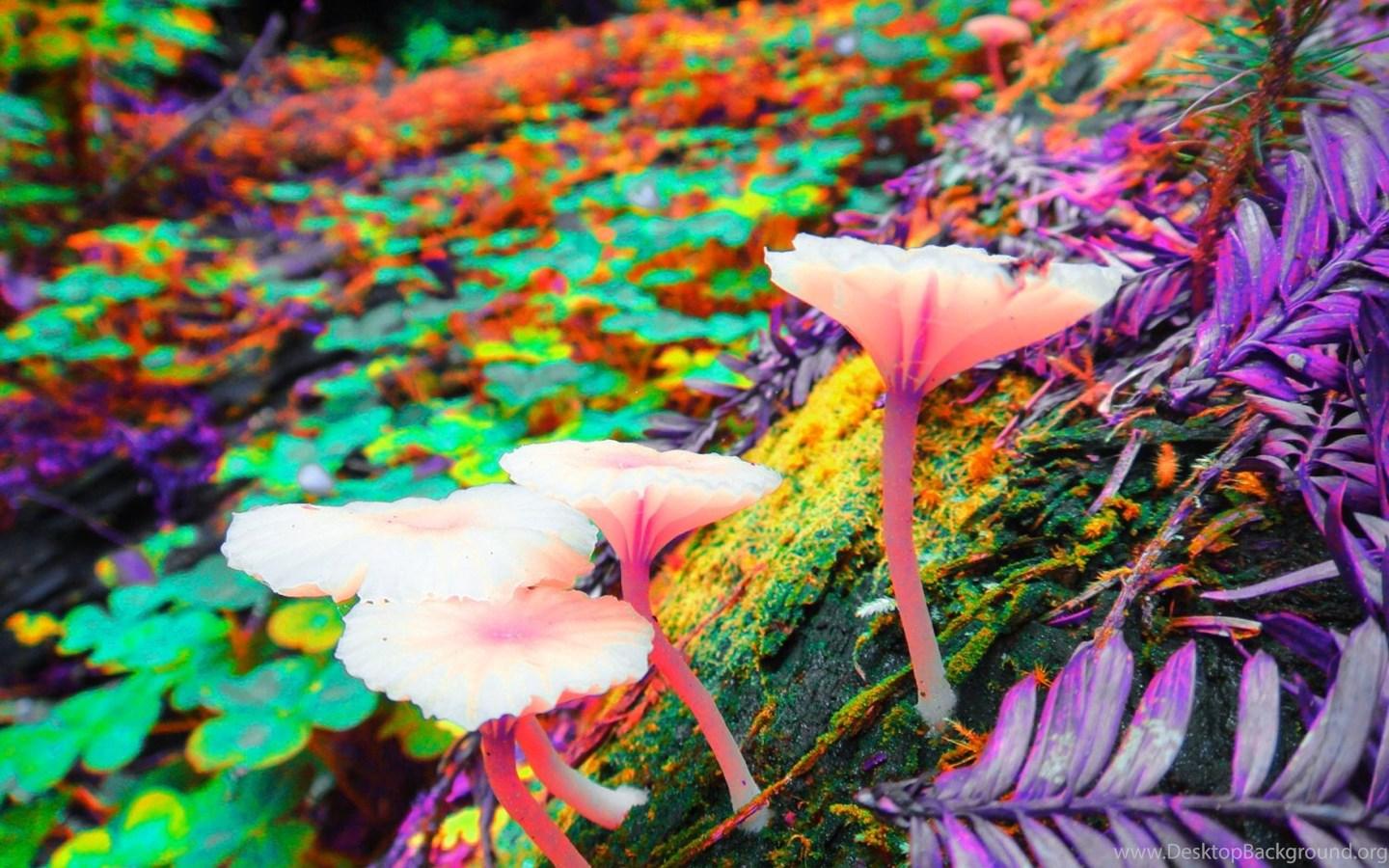 Trippy Neon Wallpapers - Top Free Trippy Neon Backgrounds - WallpaperAccess