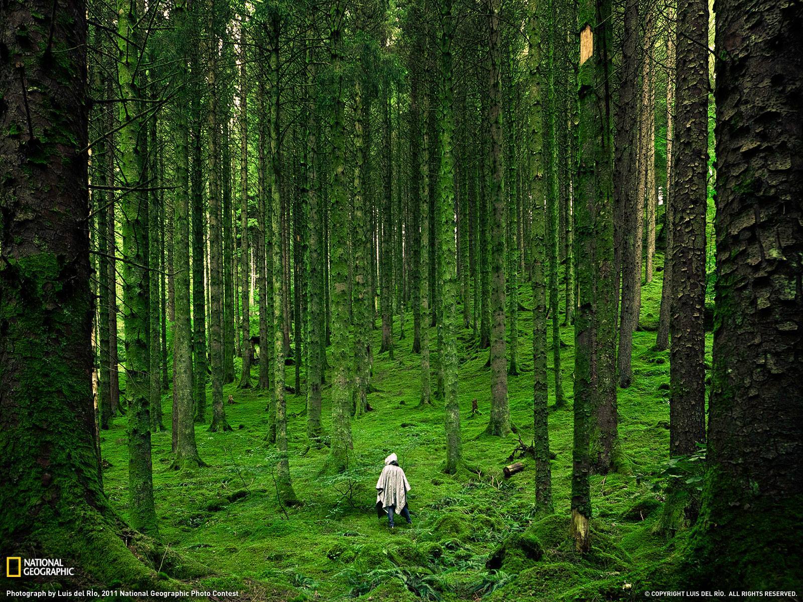 Scotland Nature Wallpapers - Top Free Scotland Nature Backgrounds ...