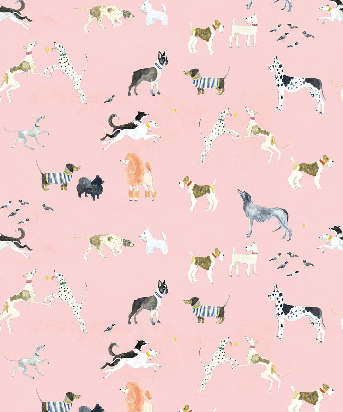 Pink Dogs Wallpapers - Top Free Pink Dogs Backgrounds - WallpaperAccess