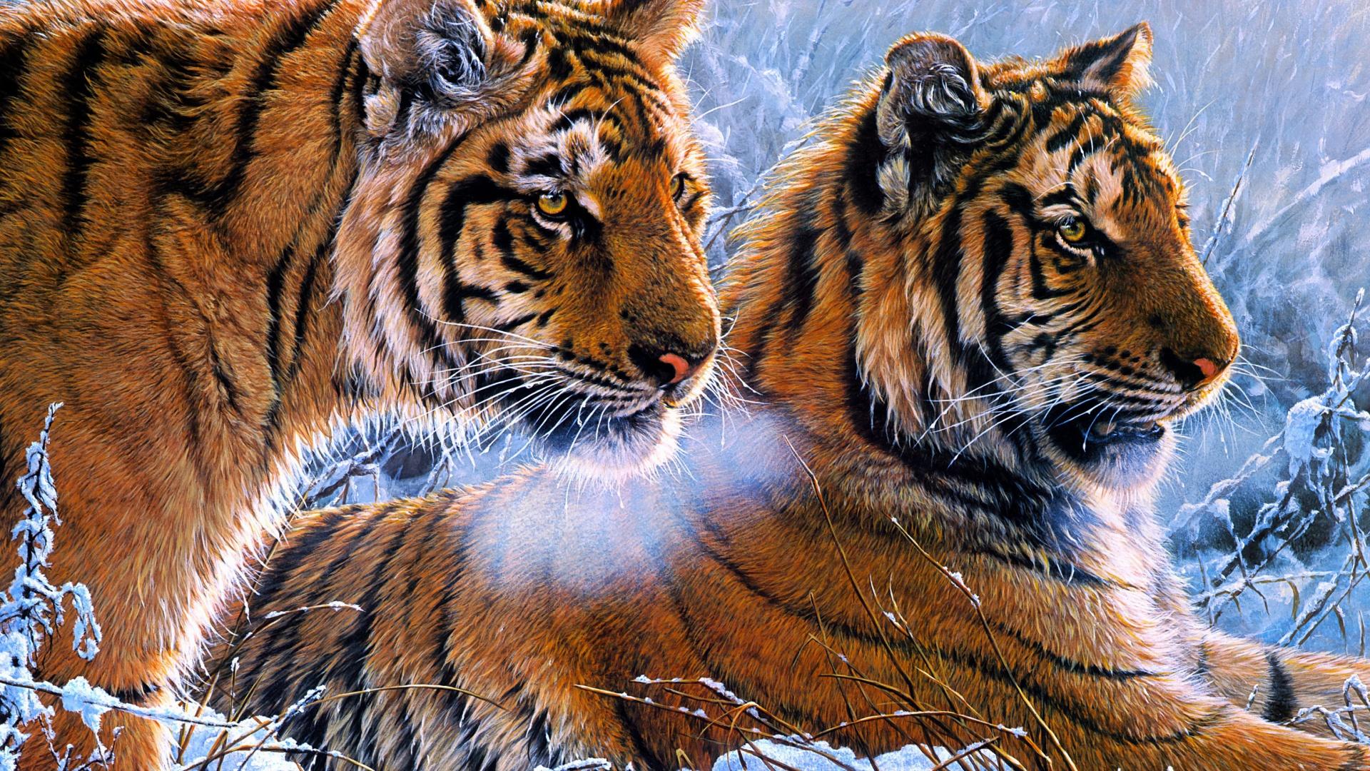 1920x1080 Tiger Wallpapers - Top Free 1920x1080 Tiger Backgrounds ...