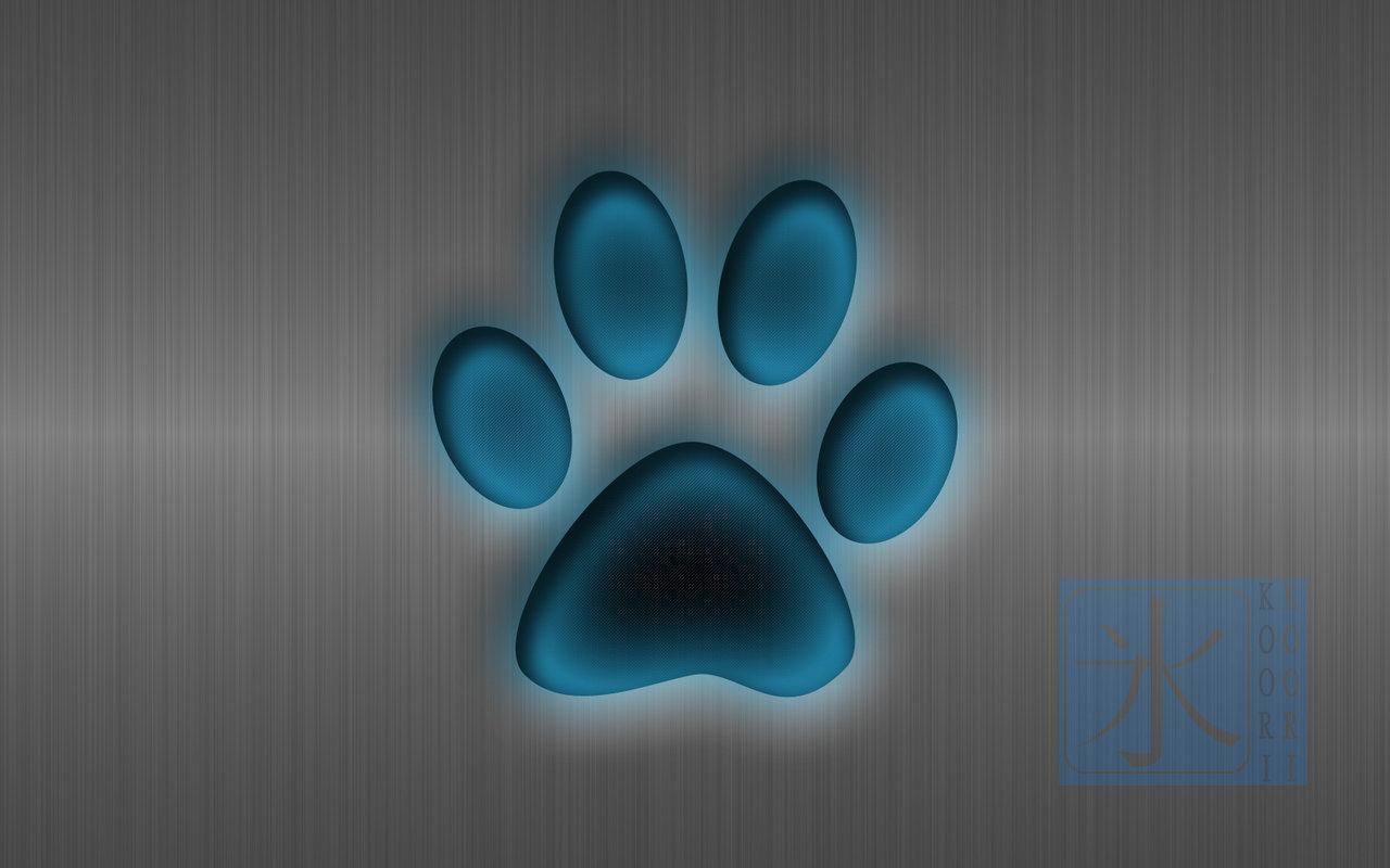 Paw Print Desktop Wallpapers - Top Free Paw Print Desktop Backgrounds ...