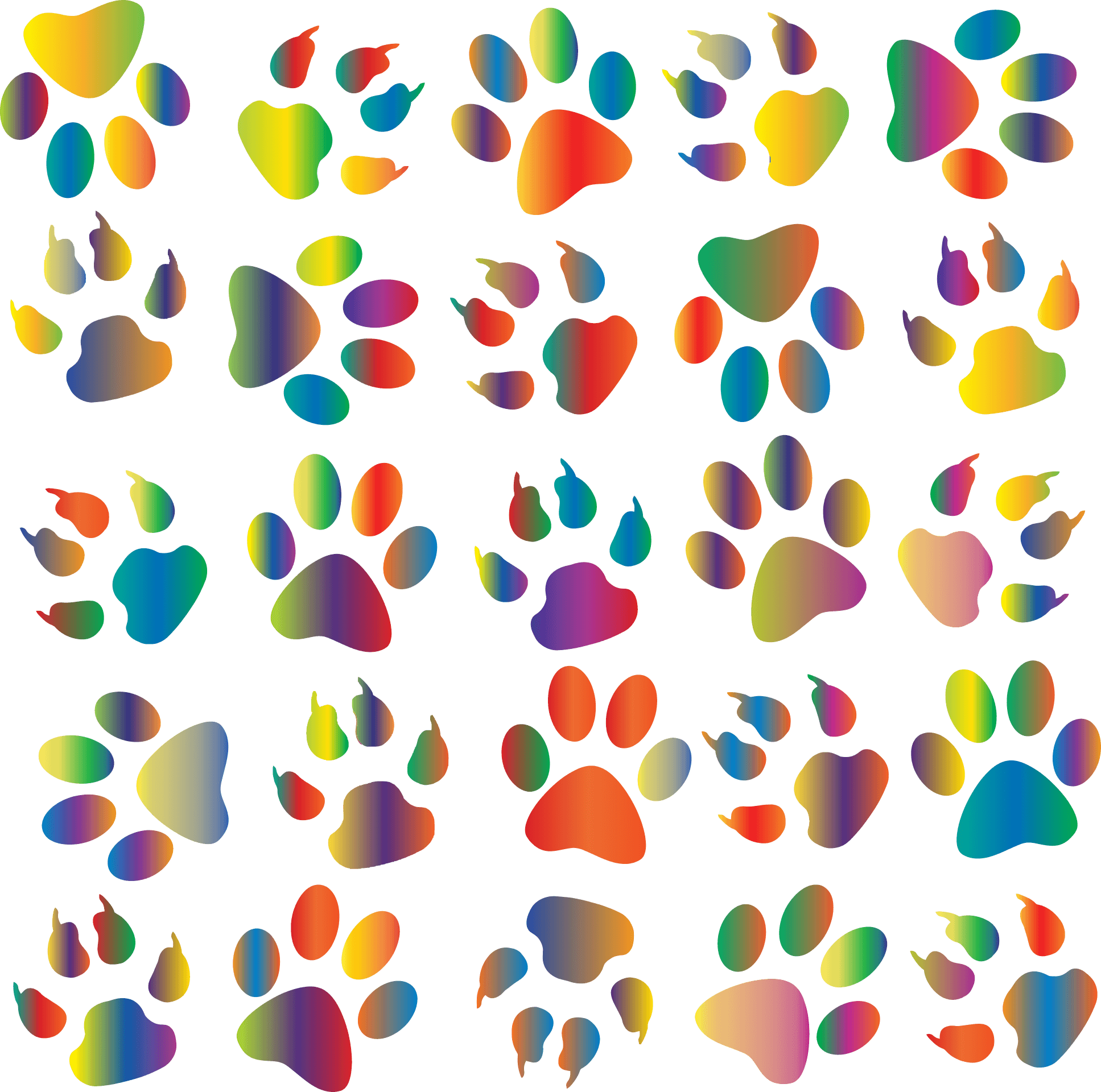 Paw Print Desktop Wallpapers - Top Free Paw Print Desktop Backgrounds ...