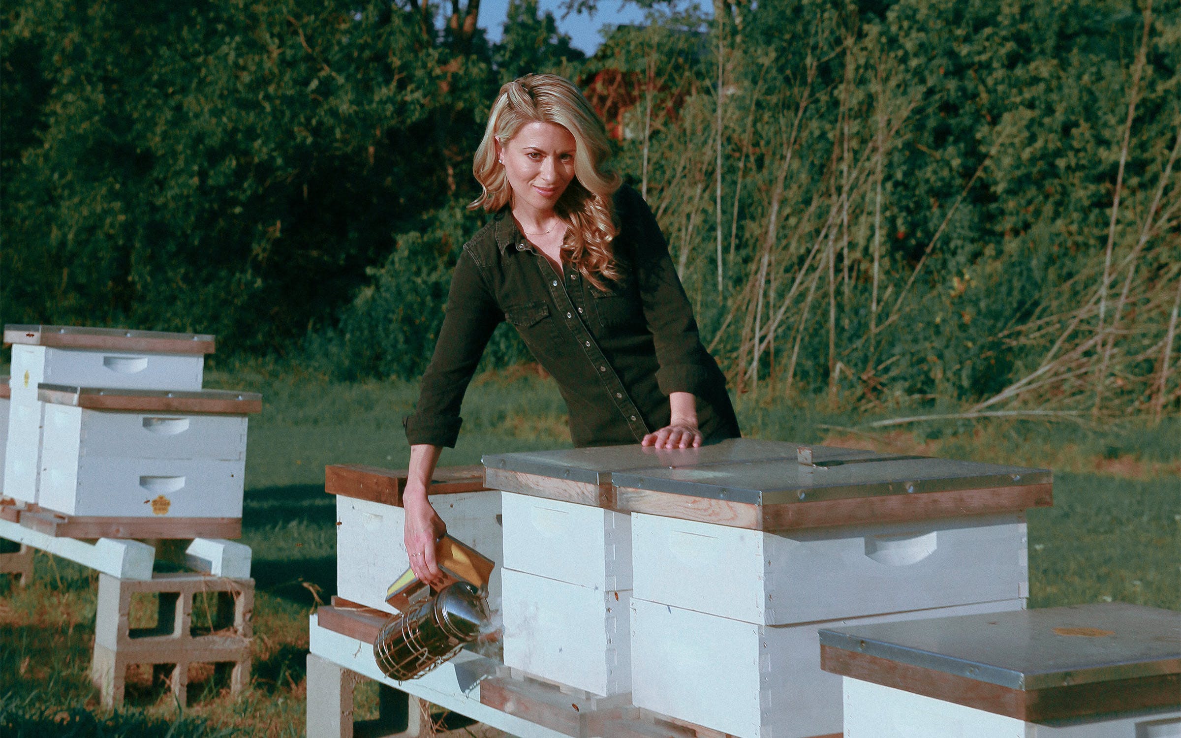 Apiary Wallpapers - Top Free Apiary Backgrounds - WallpaperAccess