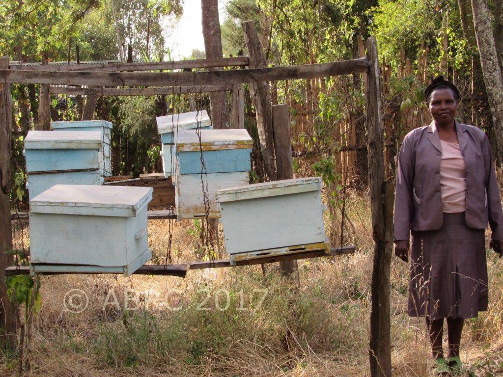 Apiary Wallpapers - Top Free Apiary Backgrounds - WallpaperAccess