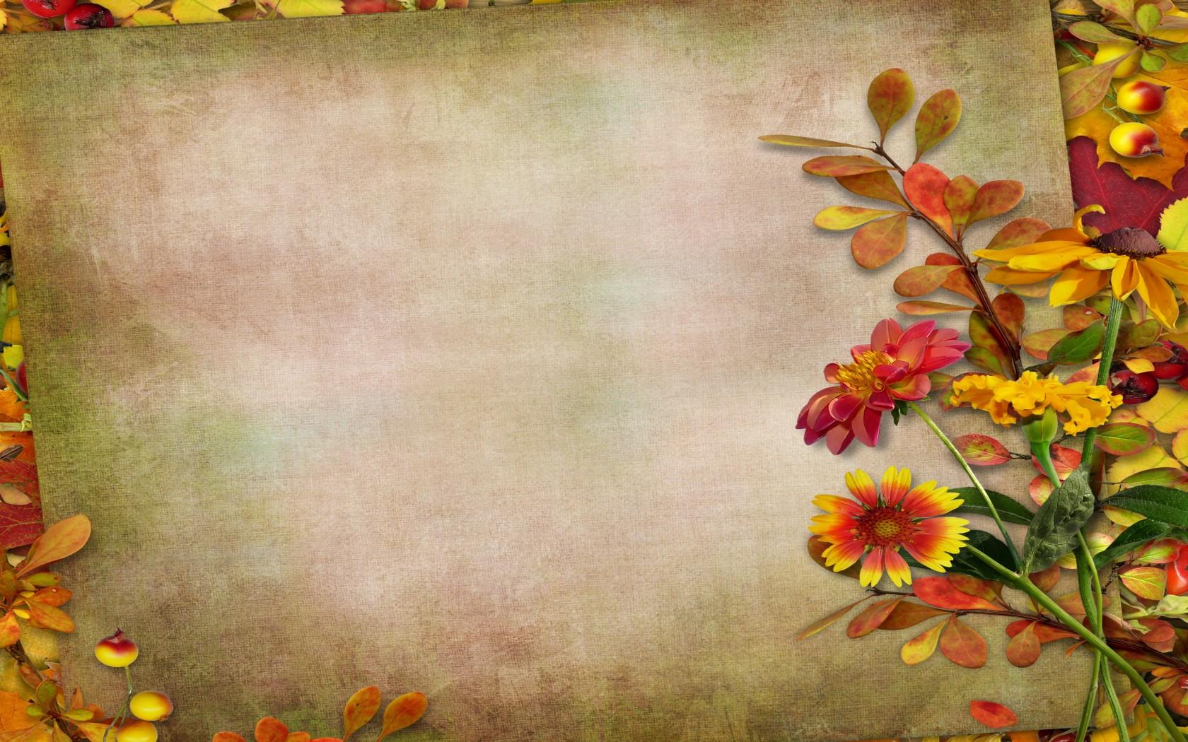 Autumn Wildflower Desktop Wallpapers - Top Free Autumn Wildflower ...