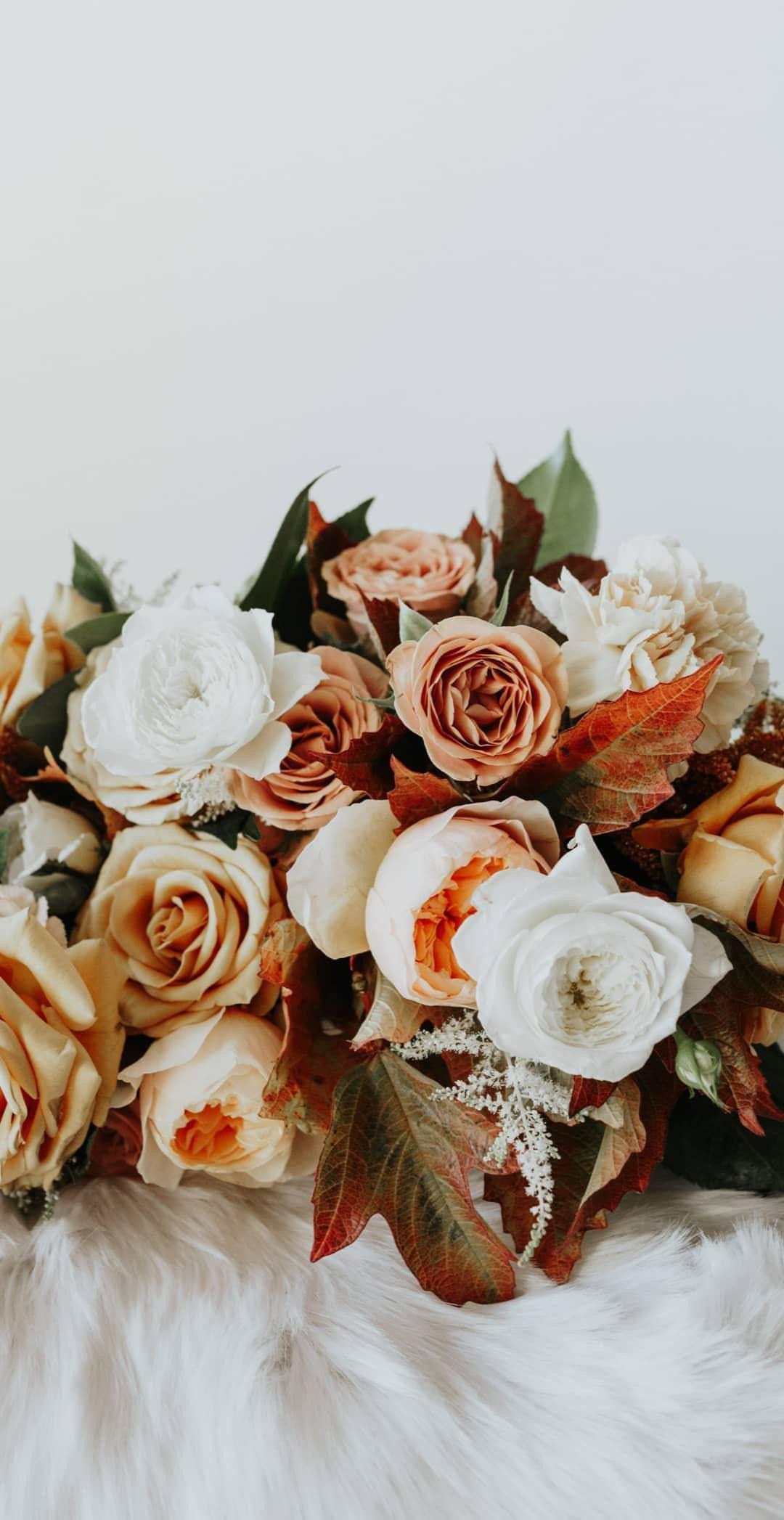 Best Autumn Flowers Wallpapers - Top Free Best Autumn Flowers ...