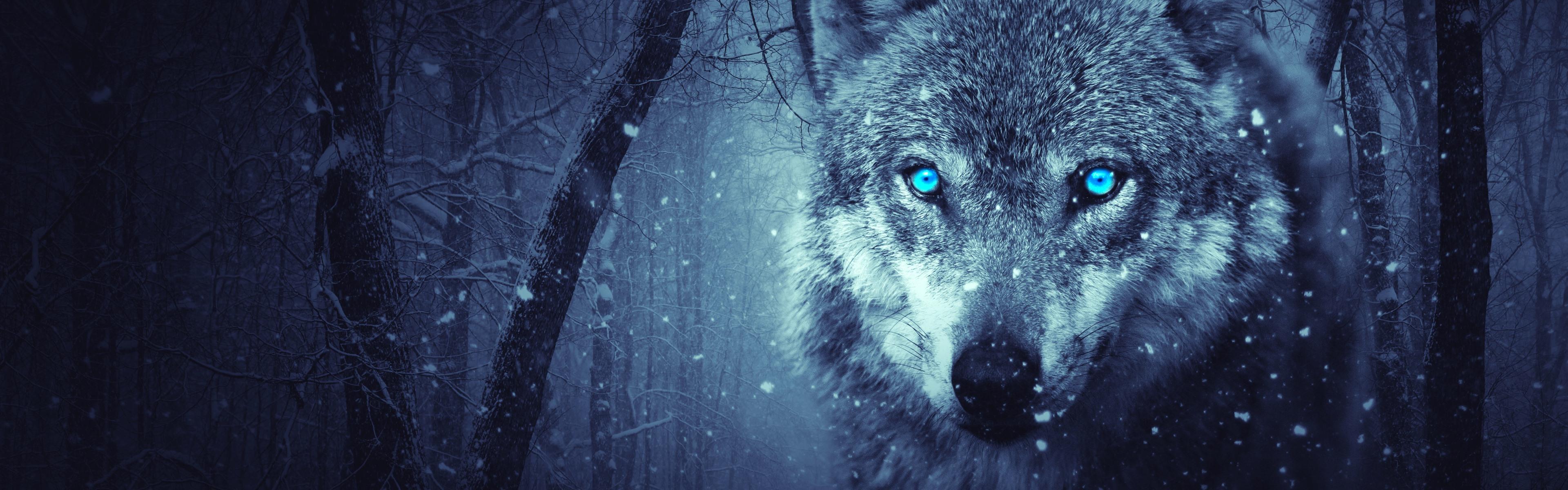 Dual Monitor Wolf Wallpapers - Top Free Dual Monitor Wolf Backgrounds ...