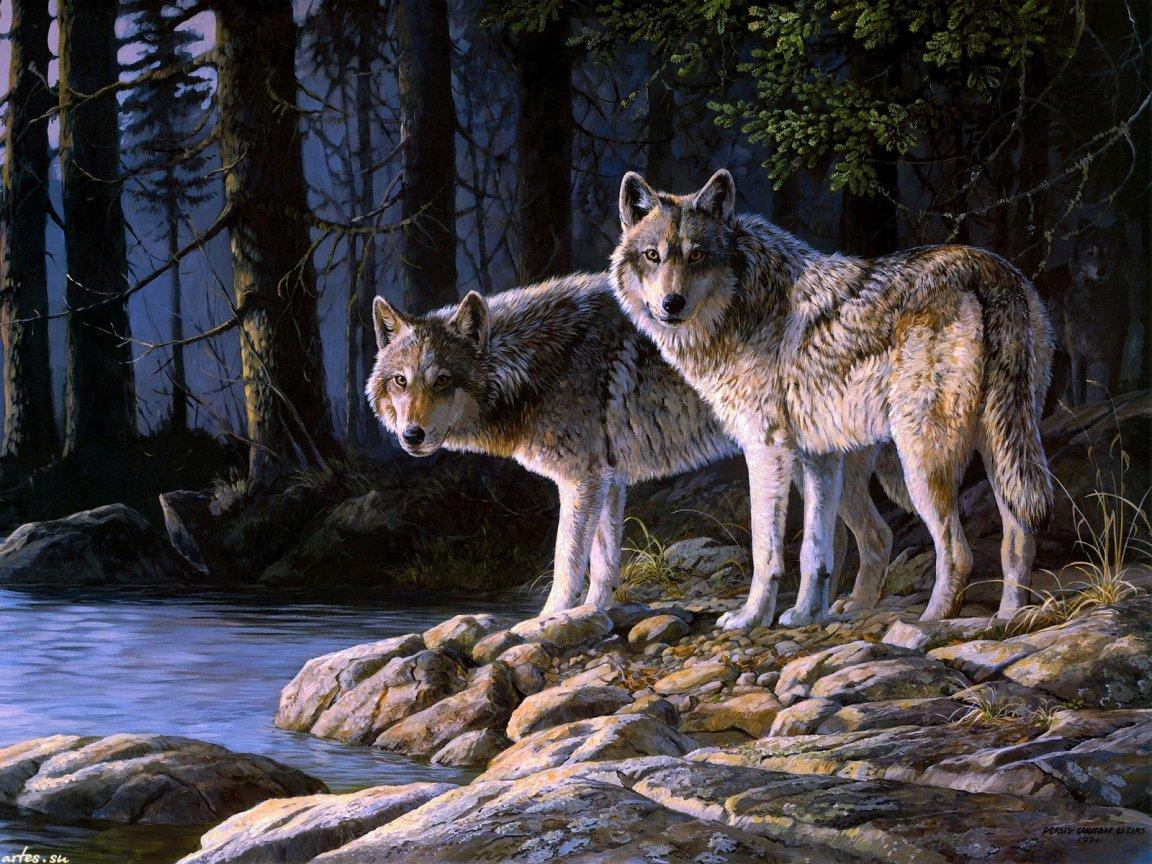 Dual Monitor Wolf Wallpapers - Top Free Dual Monitor Wolf Backgrounds ...