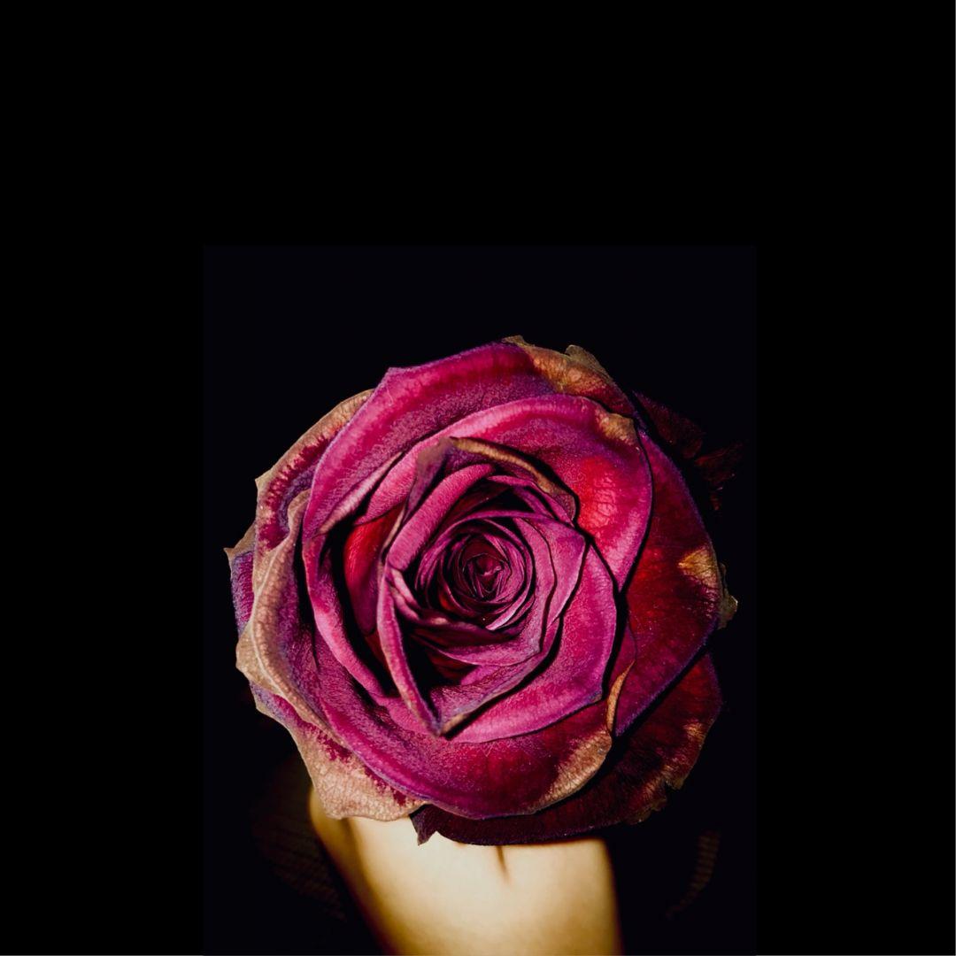 1080X1080 Red Wallpapers - Top Free 1080X1080 Red Backgrounds ...