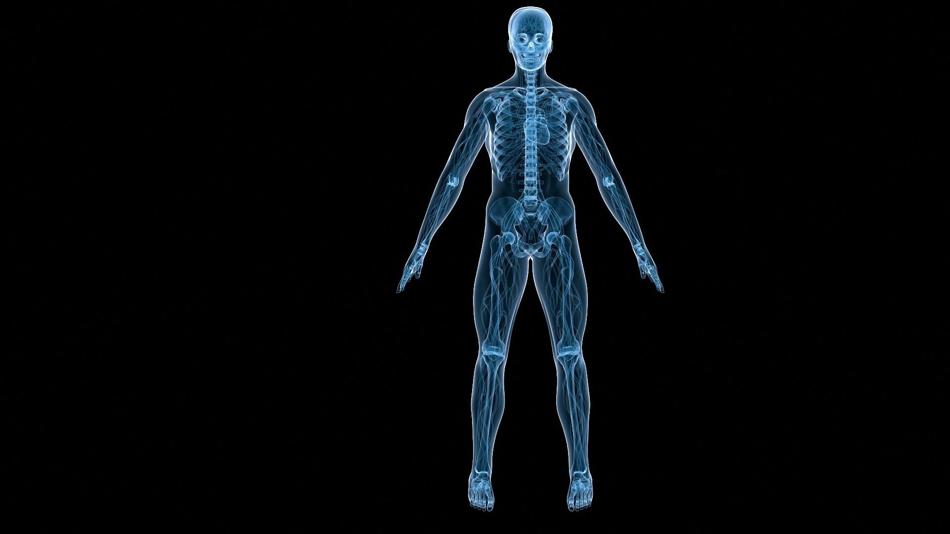 Human Body HD Wallpapers - Top Free Human Body HD Backgrounds ...