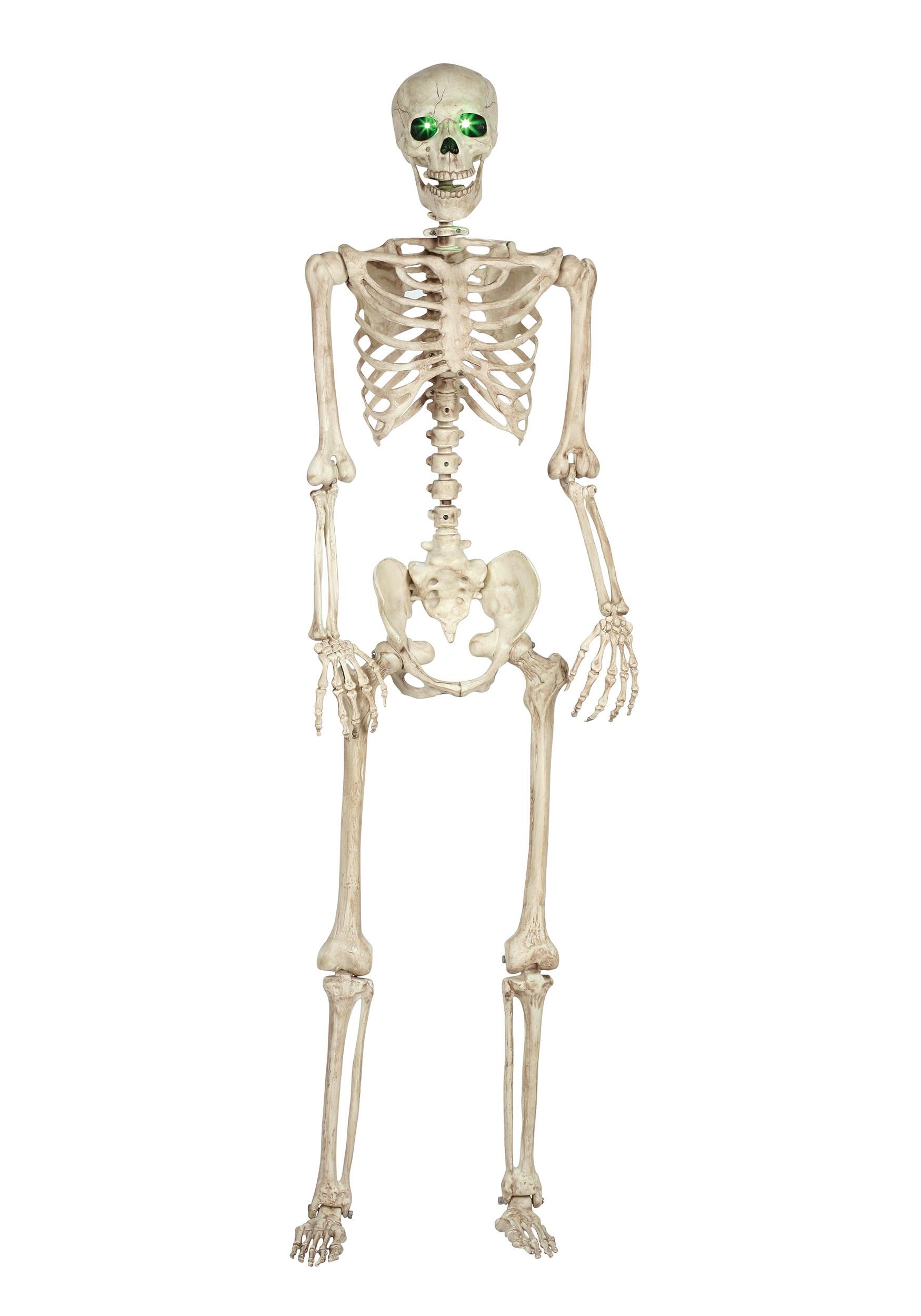 Human Body HD Wallpapers - Top Free Human Body HD Backgrounds ...