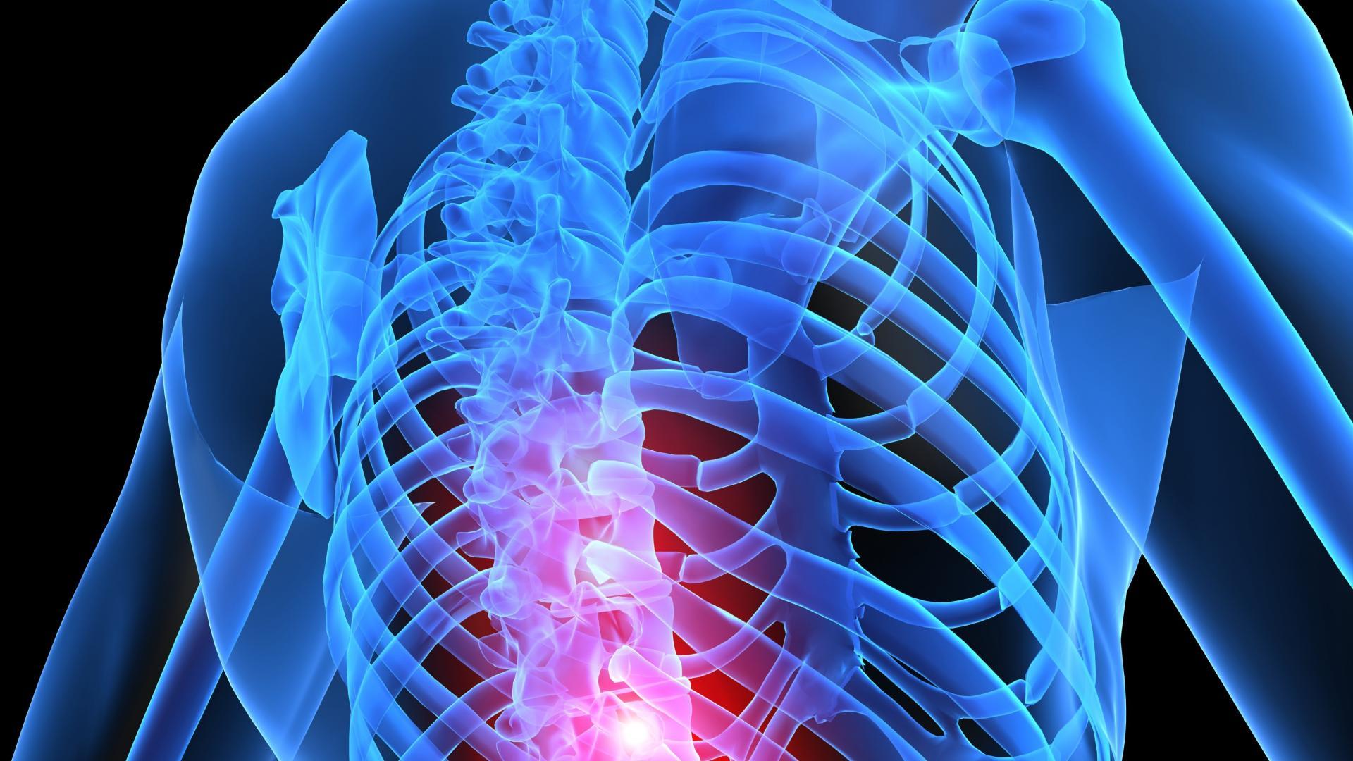 Human Body HD Wallpapers - Top Free Human Body HD Backgrounds ...