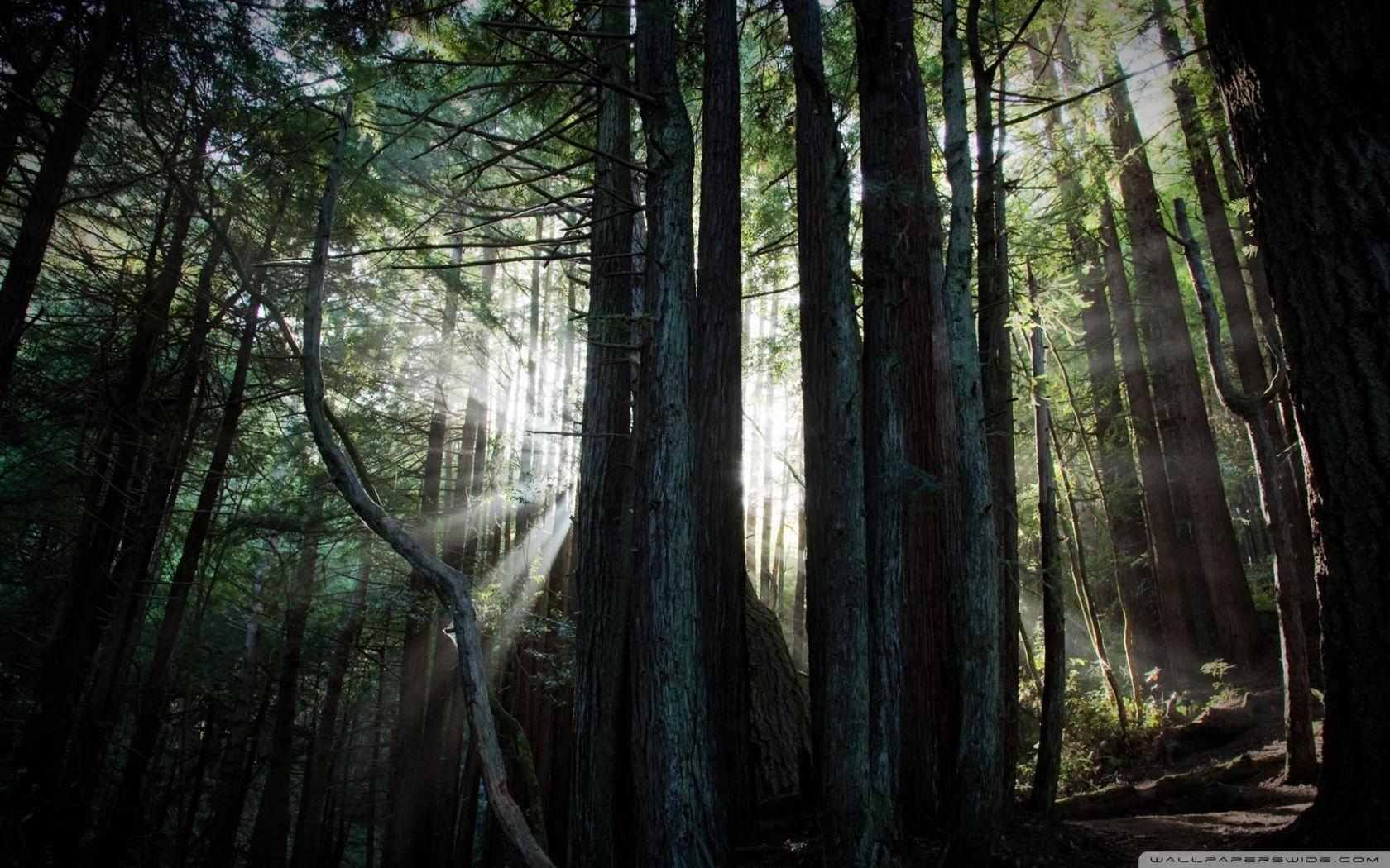 10 Deep Wallpapers - Top Free 10 Deep Backgrounds - WallpaperAccess