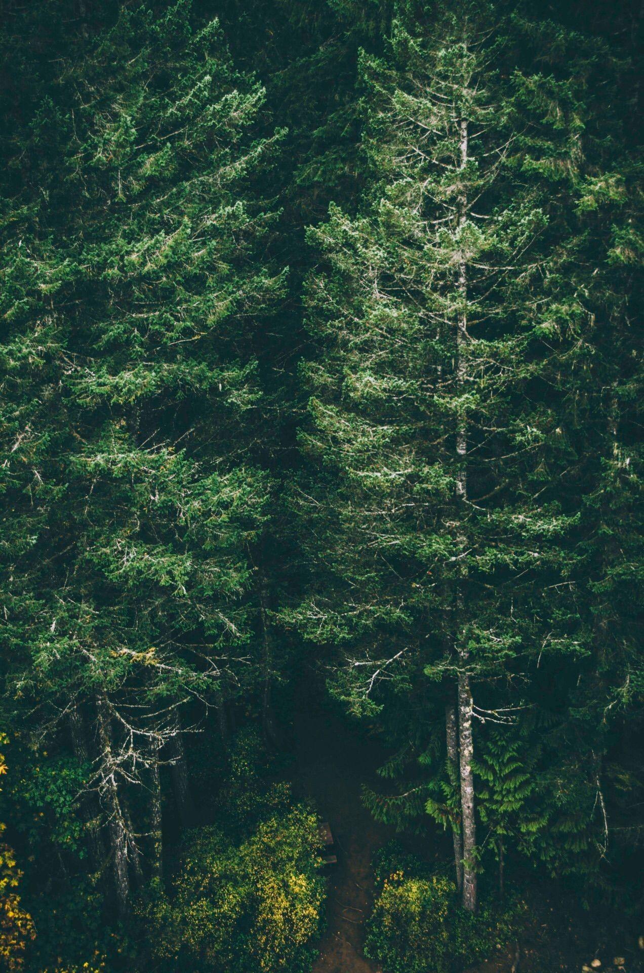 10 Deep Wallpapers - Top Free 10 Deep Backgrounds - WallpaperAccess