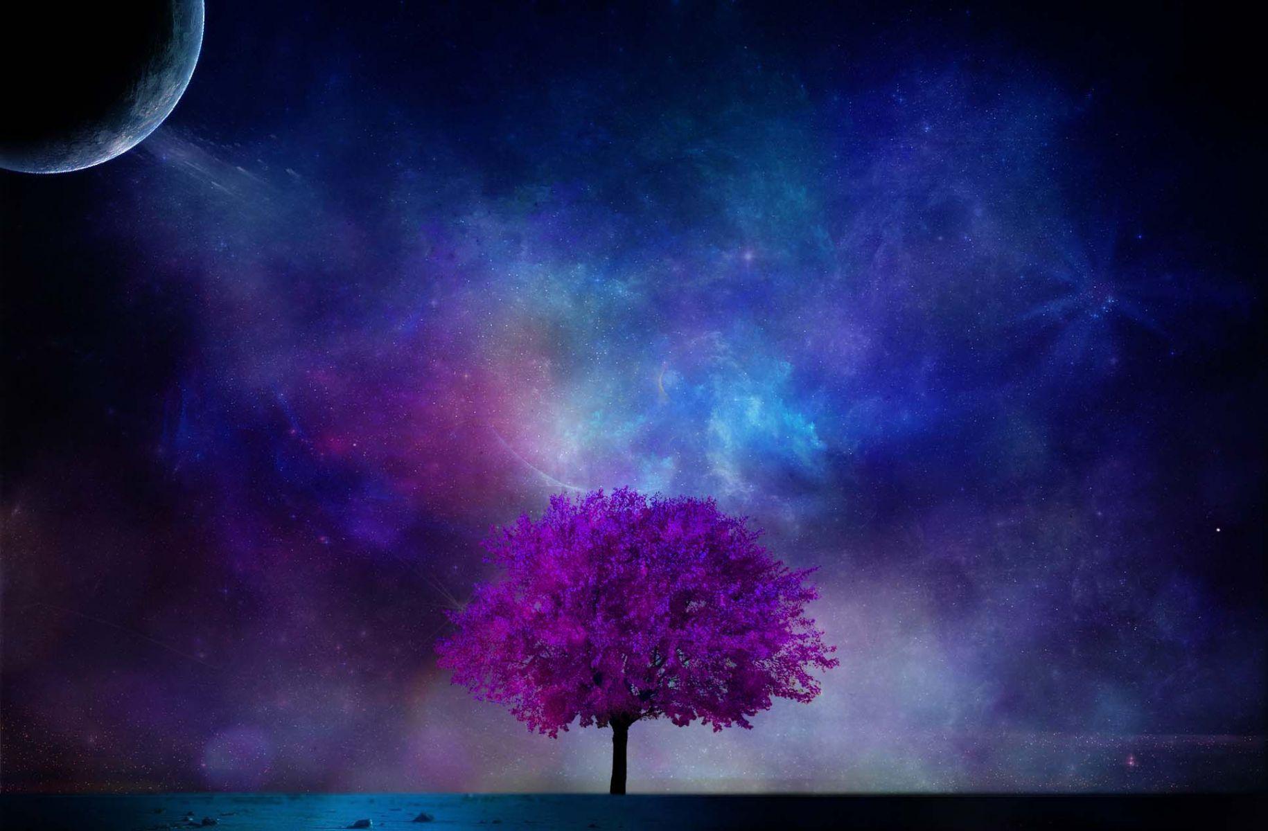Pink Tree Wallpapers - Top Free Pink Tree Backgrounds - WallpaperAccess