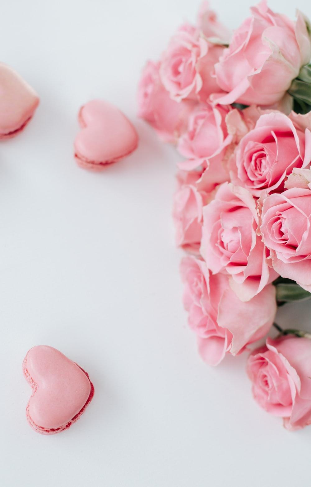 Pink Roses Phone Wallpapers - Top Free Pink Roses Phone Backgrounds ...