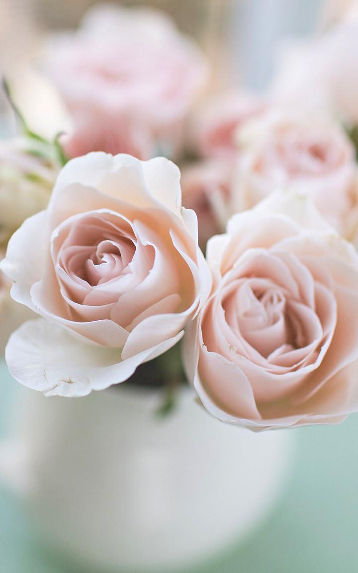 Pink Roses Phone Wallpapers - Top Free Pink Roses Phone Backgrounds ...