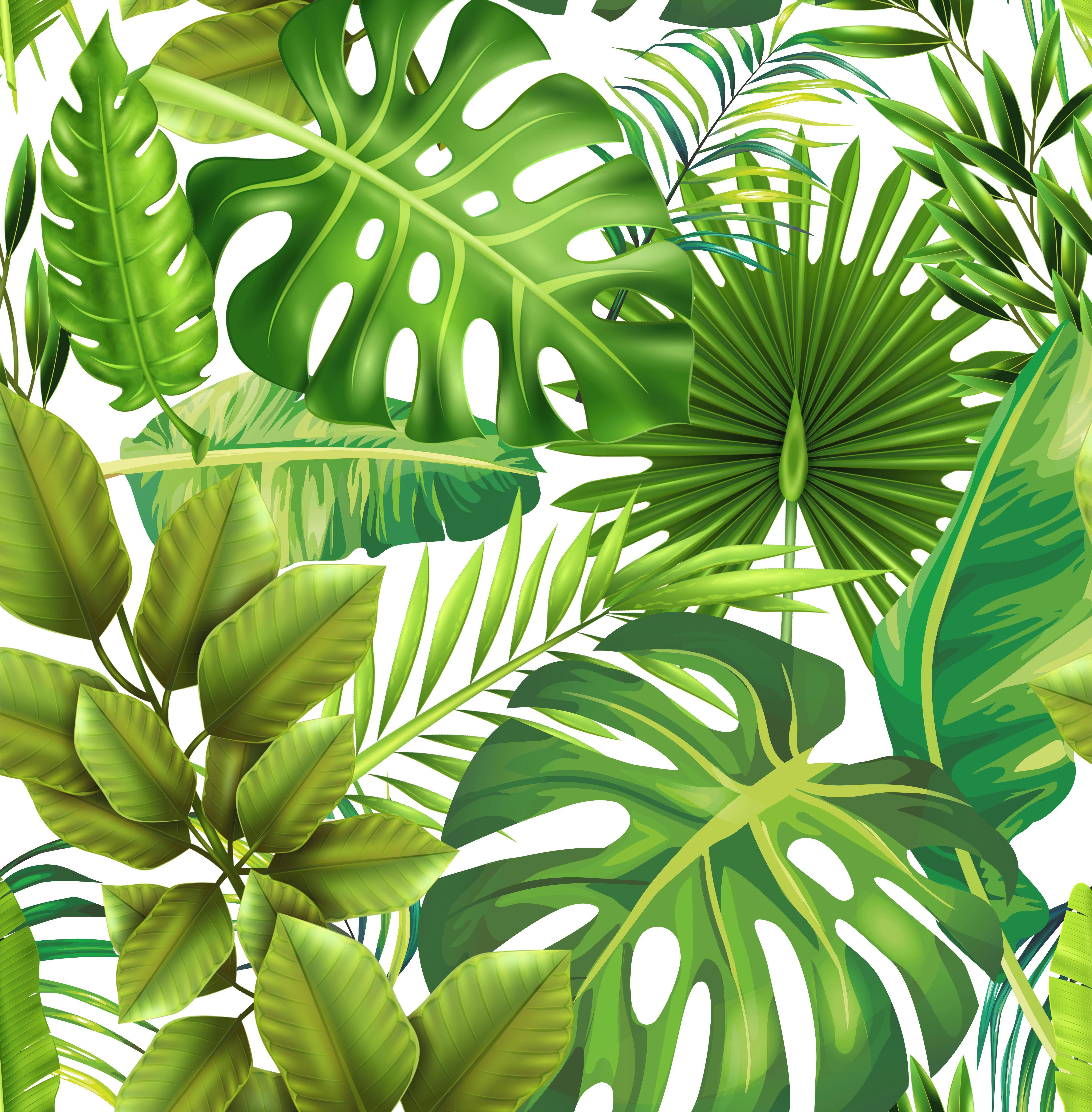 Folha Wallpapers - Top Free Folha Backgrounds - WallpaperAccess
