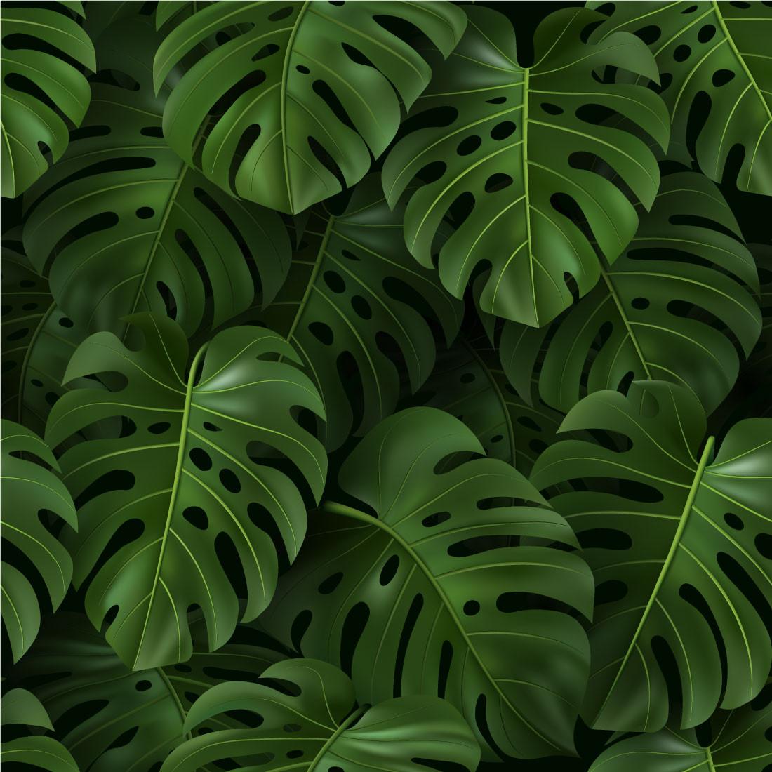 Folha Wallpapers - Top Free Folha Backgrounds - WallpaperAccess