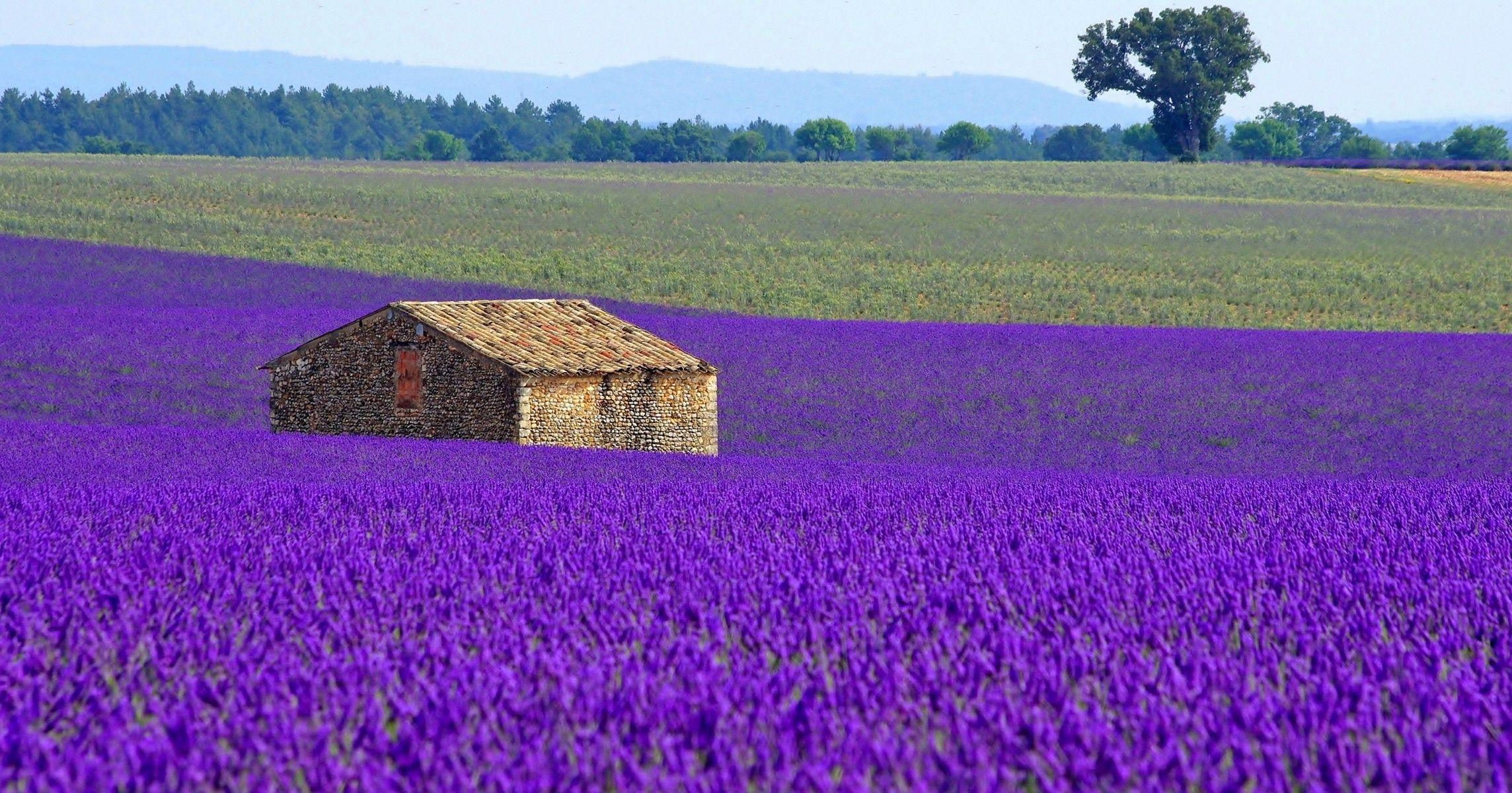 Fields France Wallpapers - Top Free Fields France Backgrounds ...