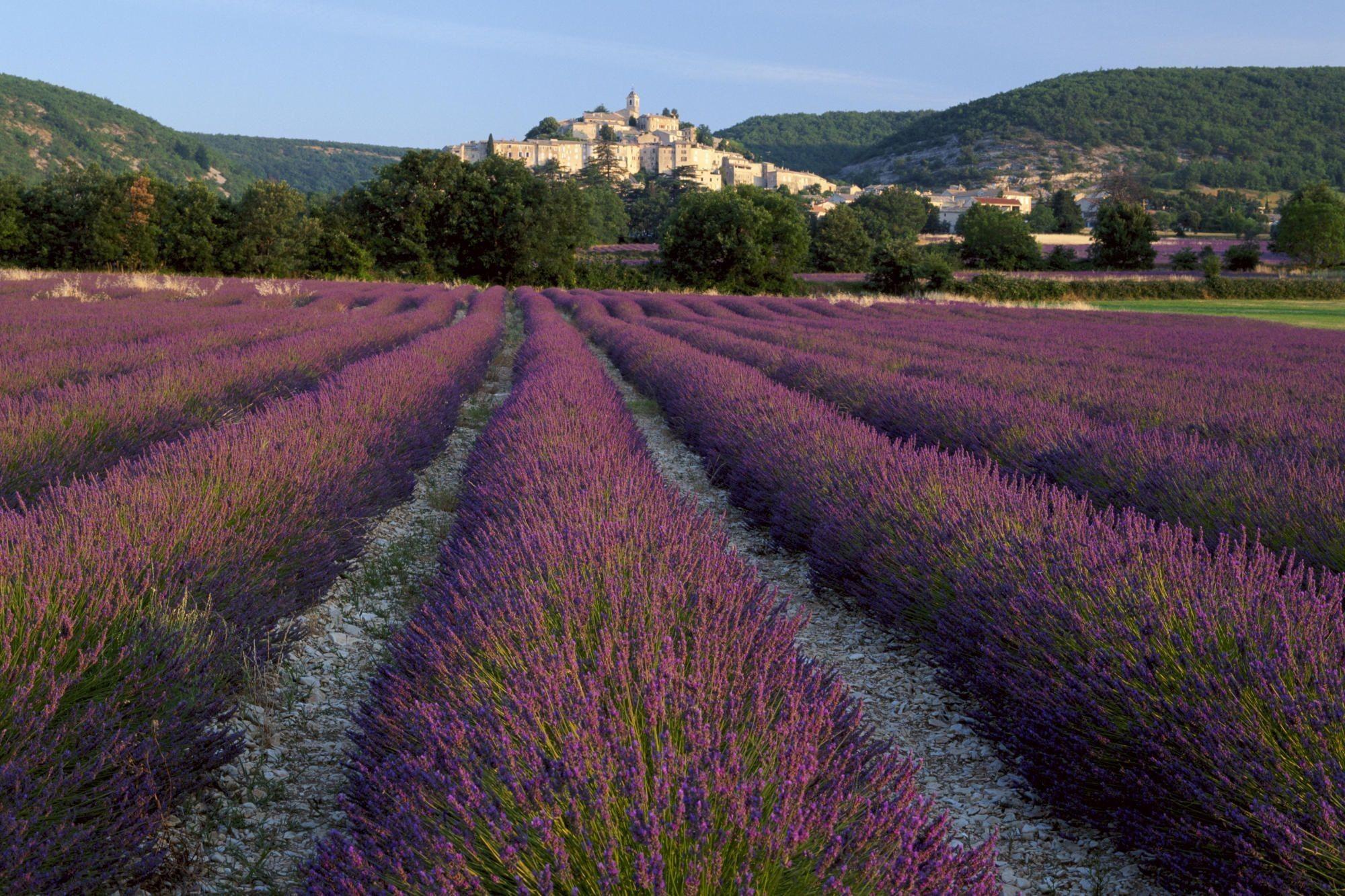Fields France Wallpapers - Top Free Fields France Backgrounds ...