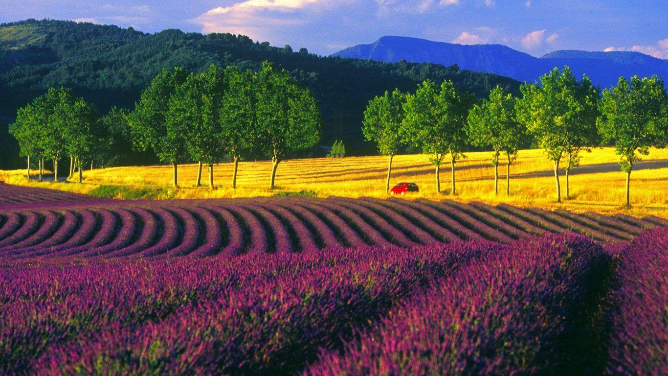 Fields France Wallpapers - Top Free Fields France Backgrounds ...