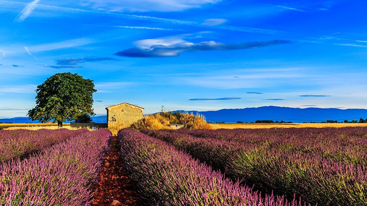 Fields France Wallpapers - Top Free Fields France Backgrounds ...