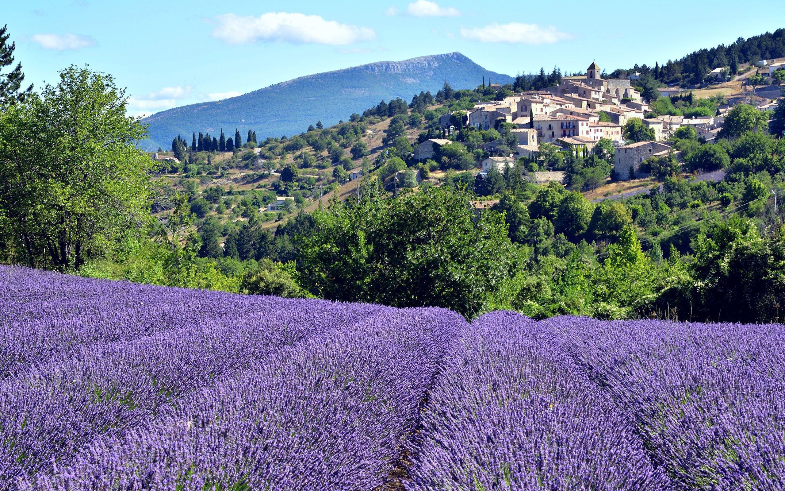 Fields France Wallpapers - Top Free Fields France Backgrounds ...