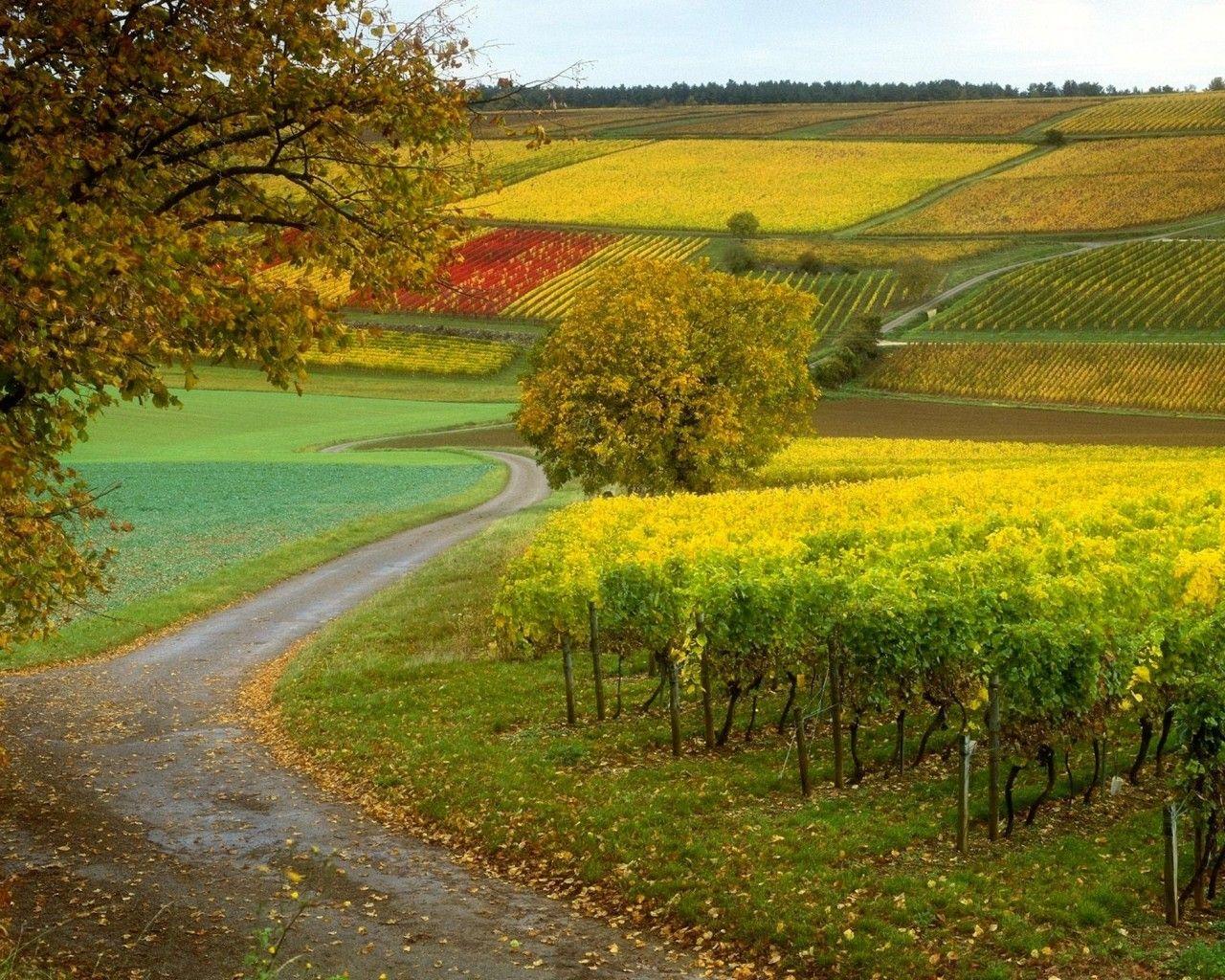 Fields France Wallpapers - Top Free Fields France Backgrounds ...
