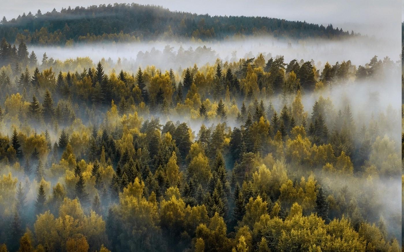 Finland Nature Wallpapers - Top Free Finland Nature Backgrounds ...