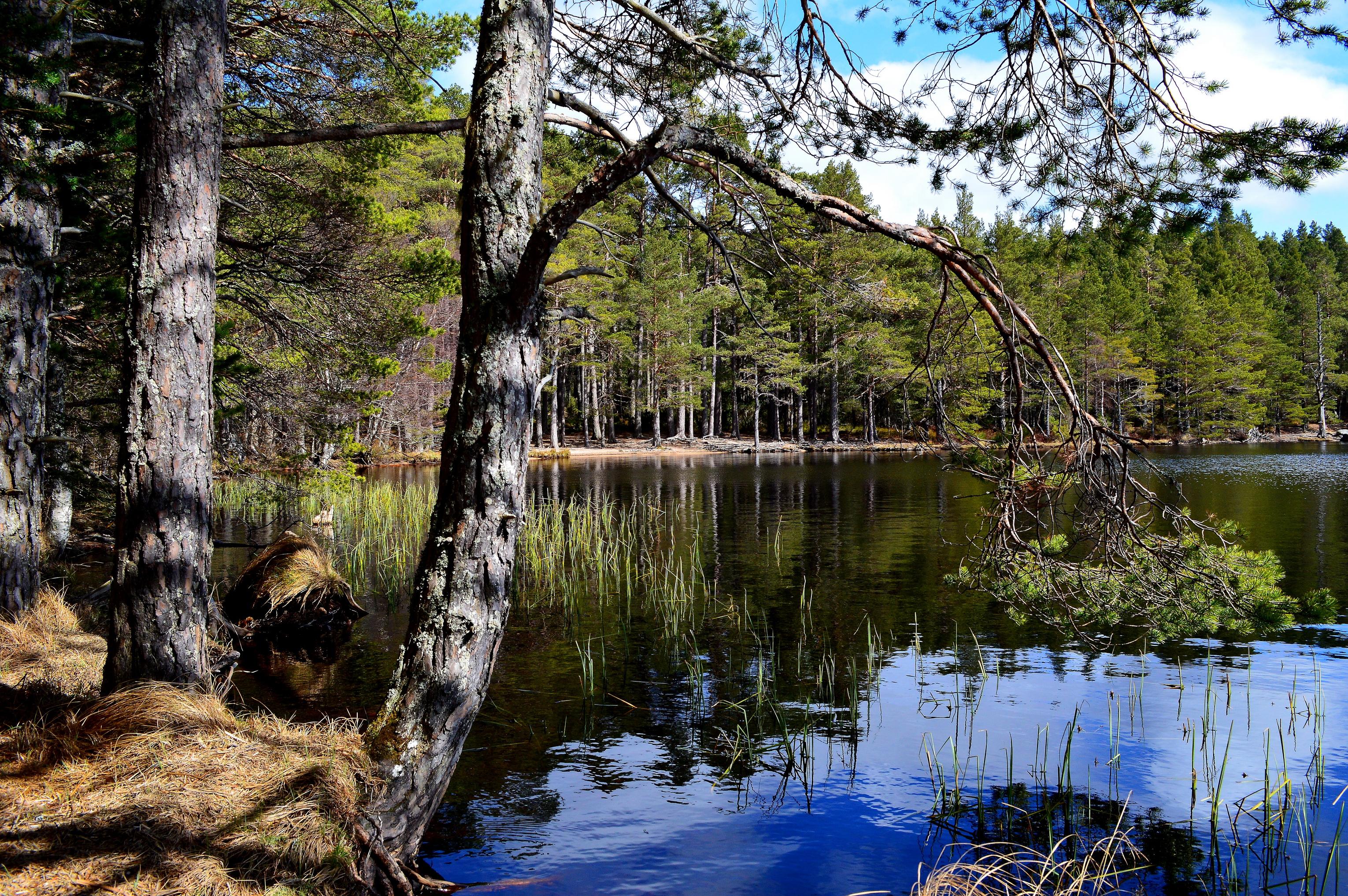 Finland Nature Wallpapers - Top Free Finland Nature Backgrounds ...