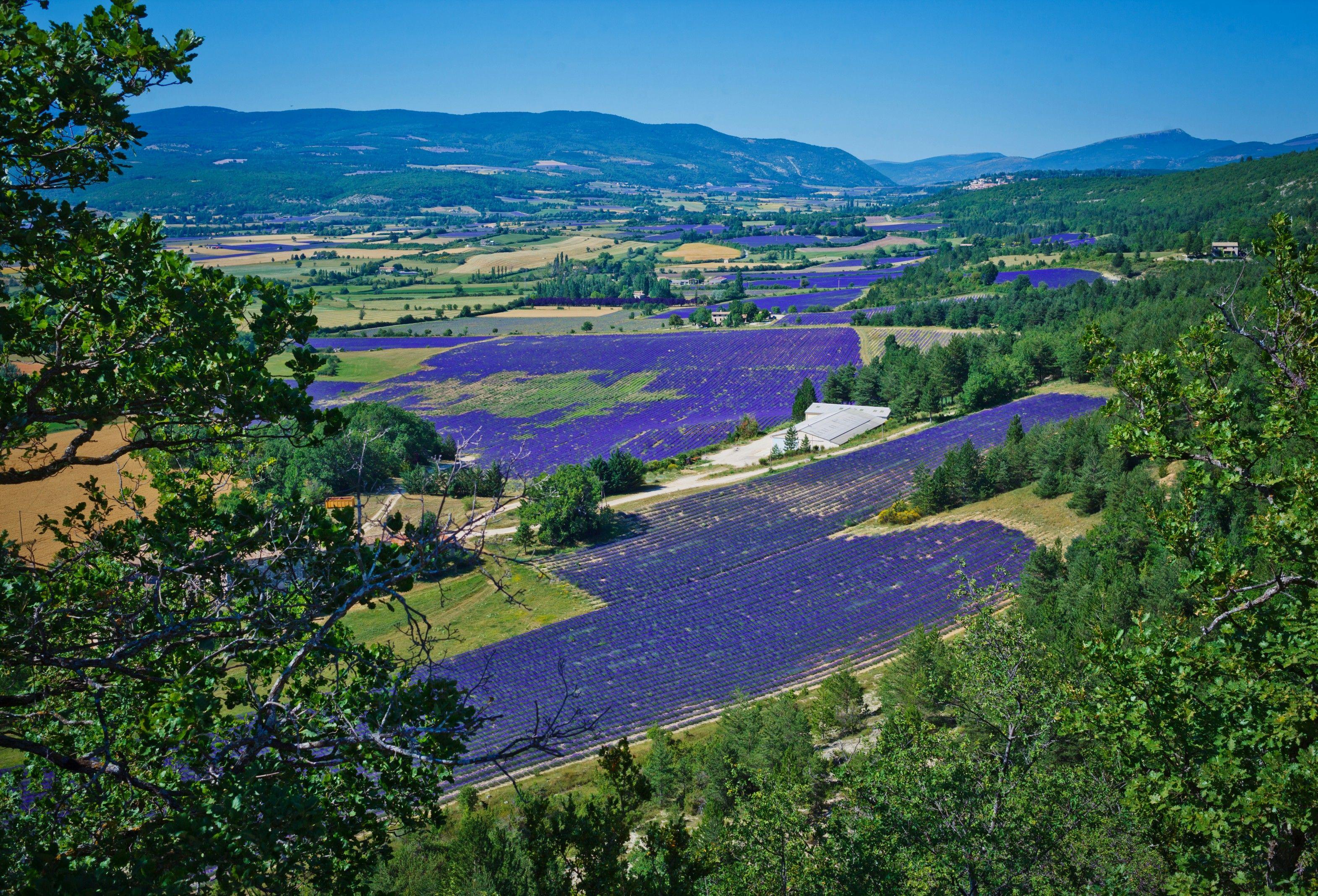 Fields France Wallpapers - Top Free Fields France Backgrounds ...
