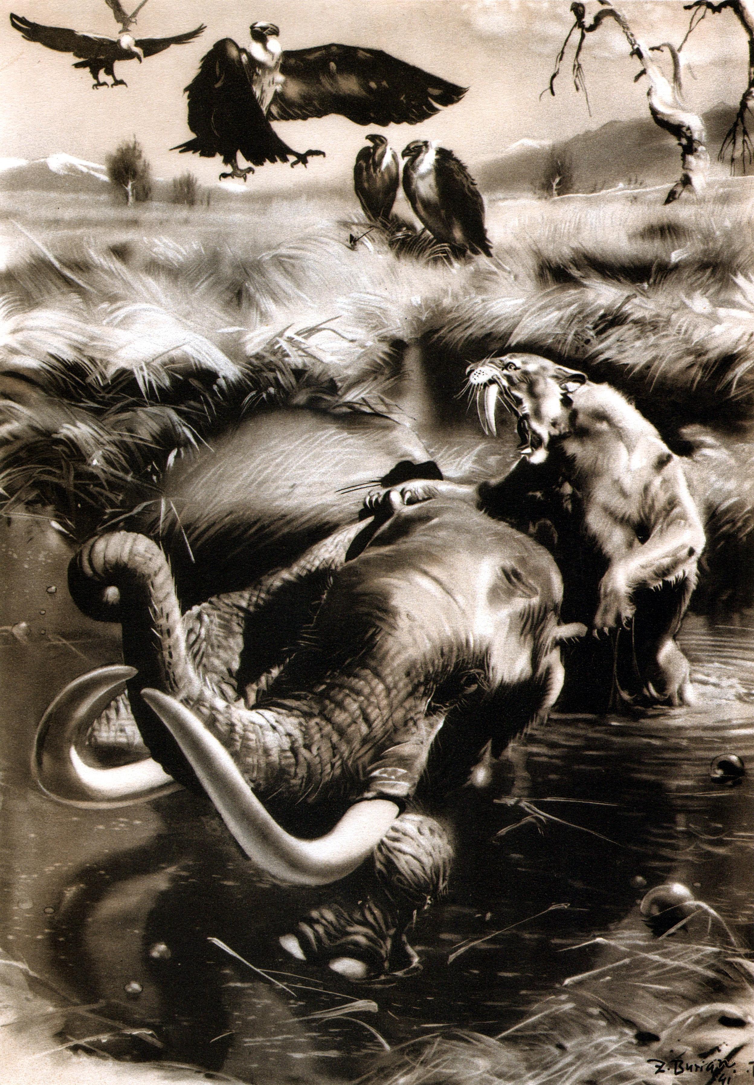 Prehistoric HD Wallpapers - Top Free Prehistoric HD Backgrounds ...