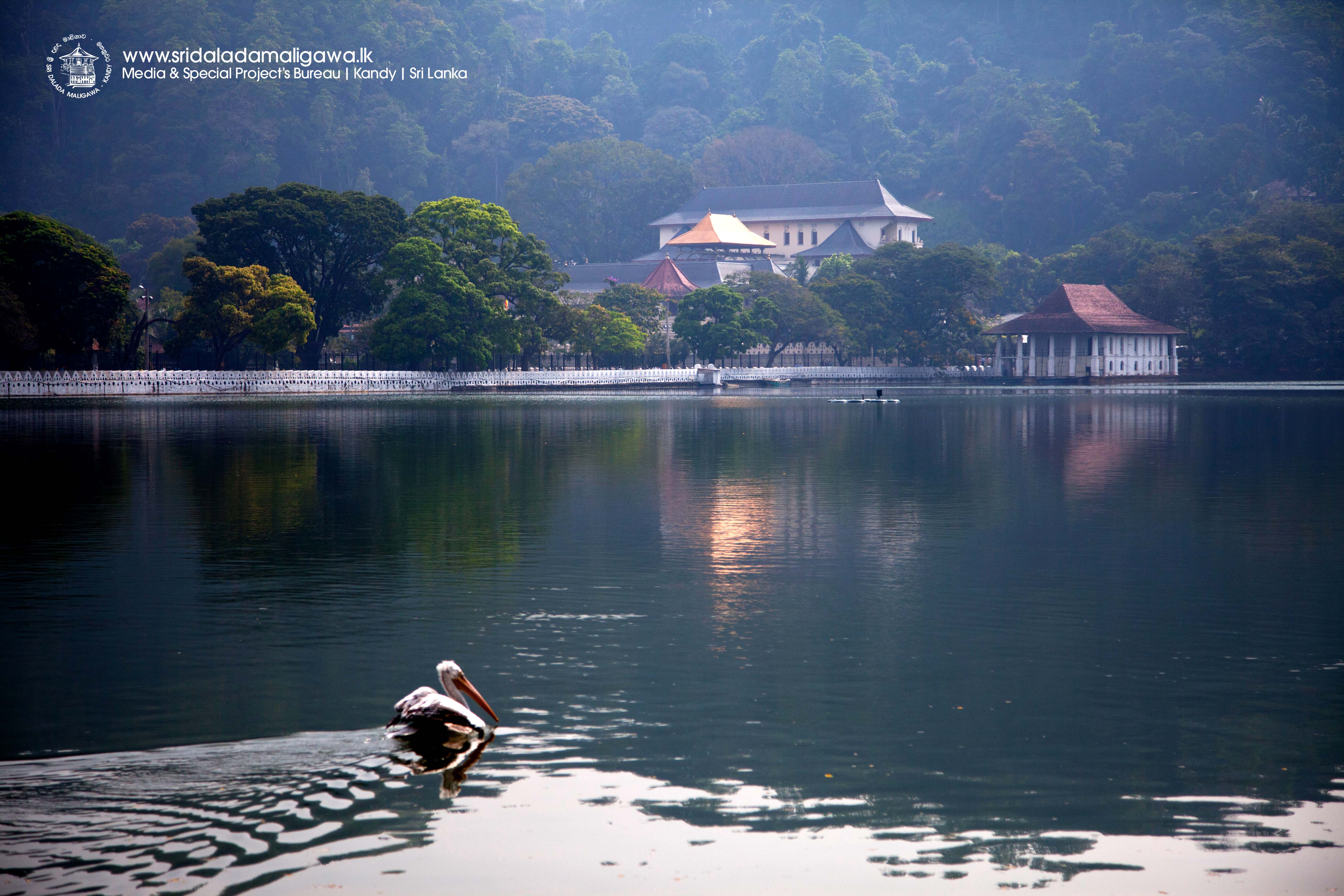 Kandy Sri Lanka Wallpapers - Top Free Kandy Sri Lanka Backgrounds ...