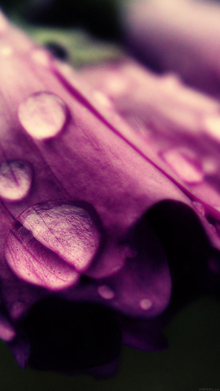 Pink Rain Wallpapers - Top Free Pink Rain Backgrounds - WallpaperAccess