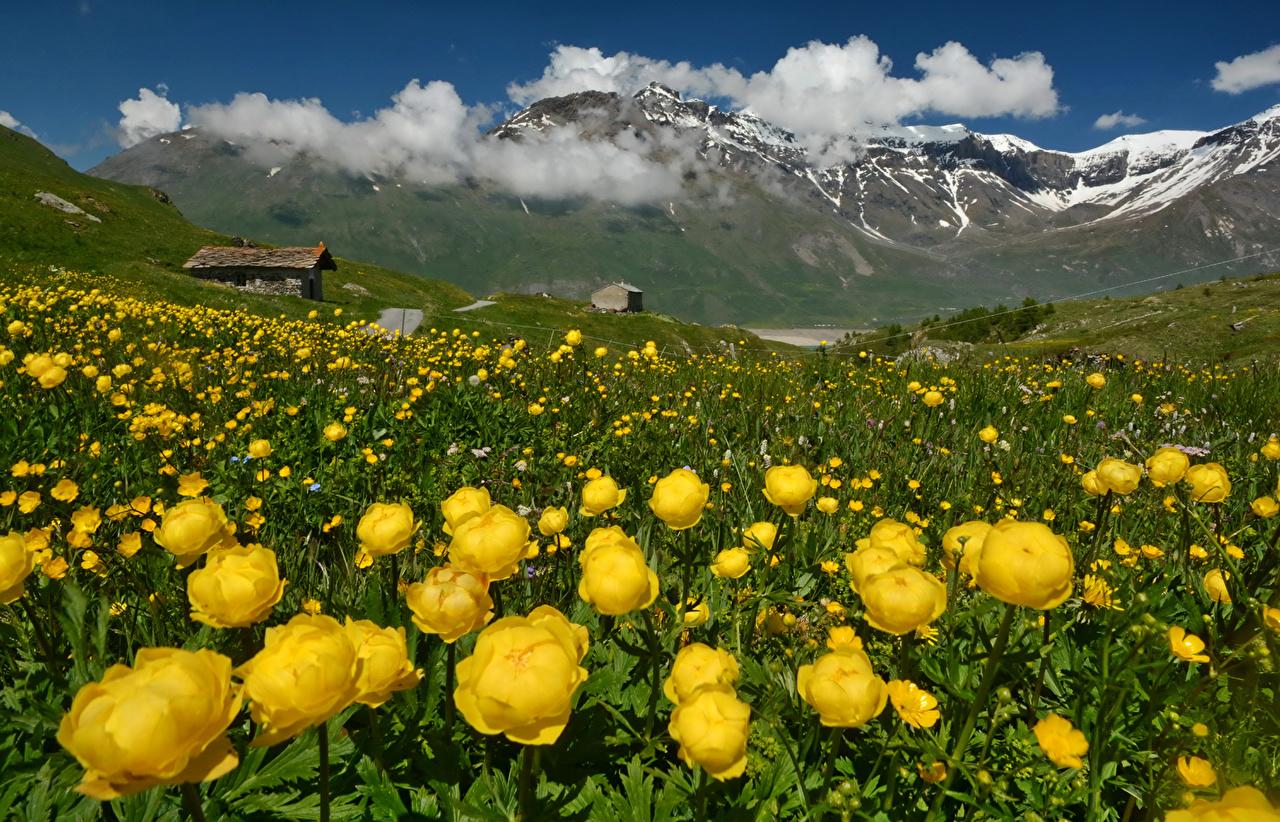 France Nature Wallpapers - Top Free France Nature Backgrounds ...