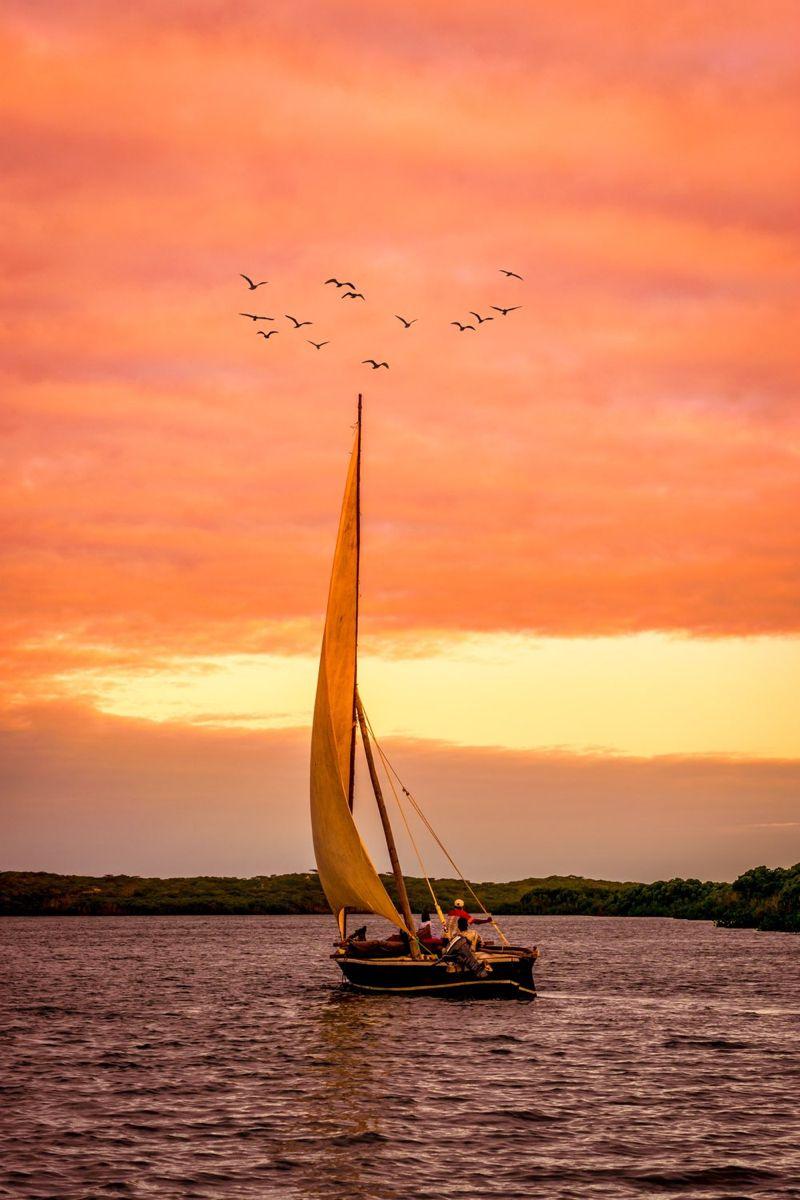 Sailing iPhone Wallpapers - Top Free Sailing iPhone Backgrounds ...