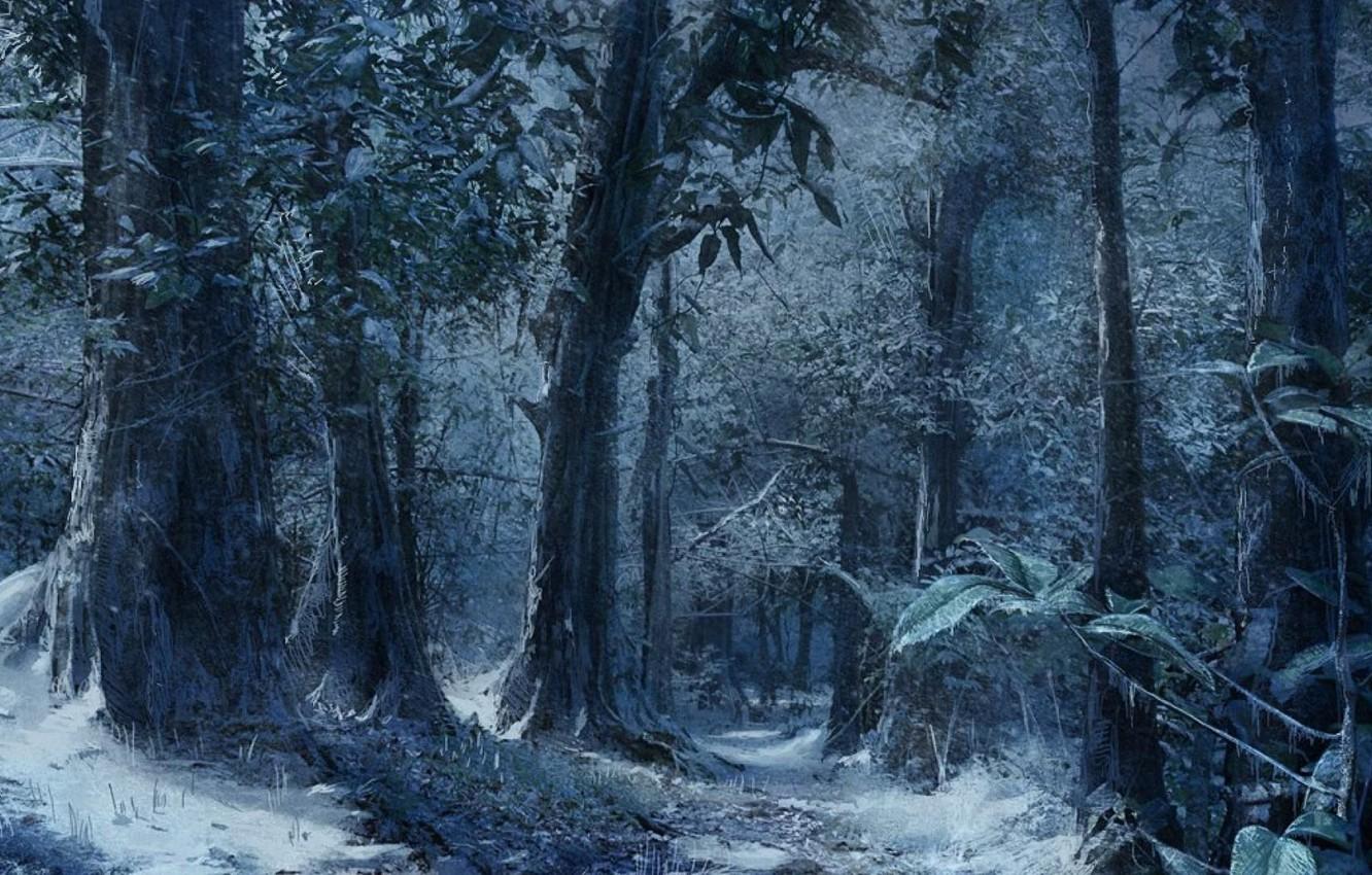 Snow Forest Art Wallpapers - Top Free Snow Forest Art Backgrounds ...