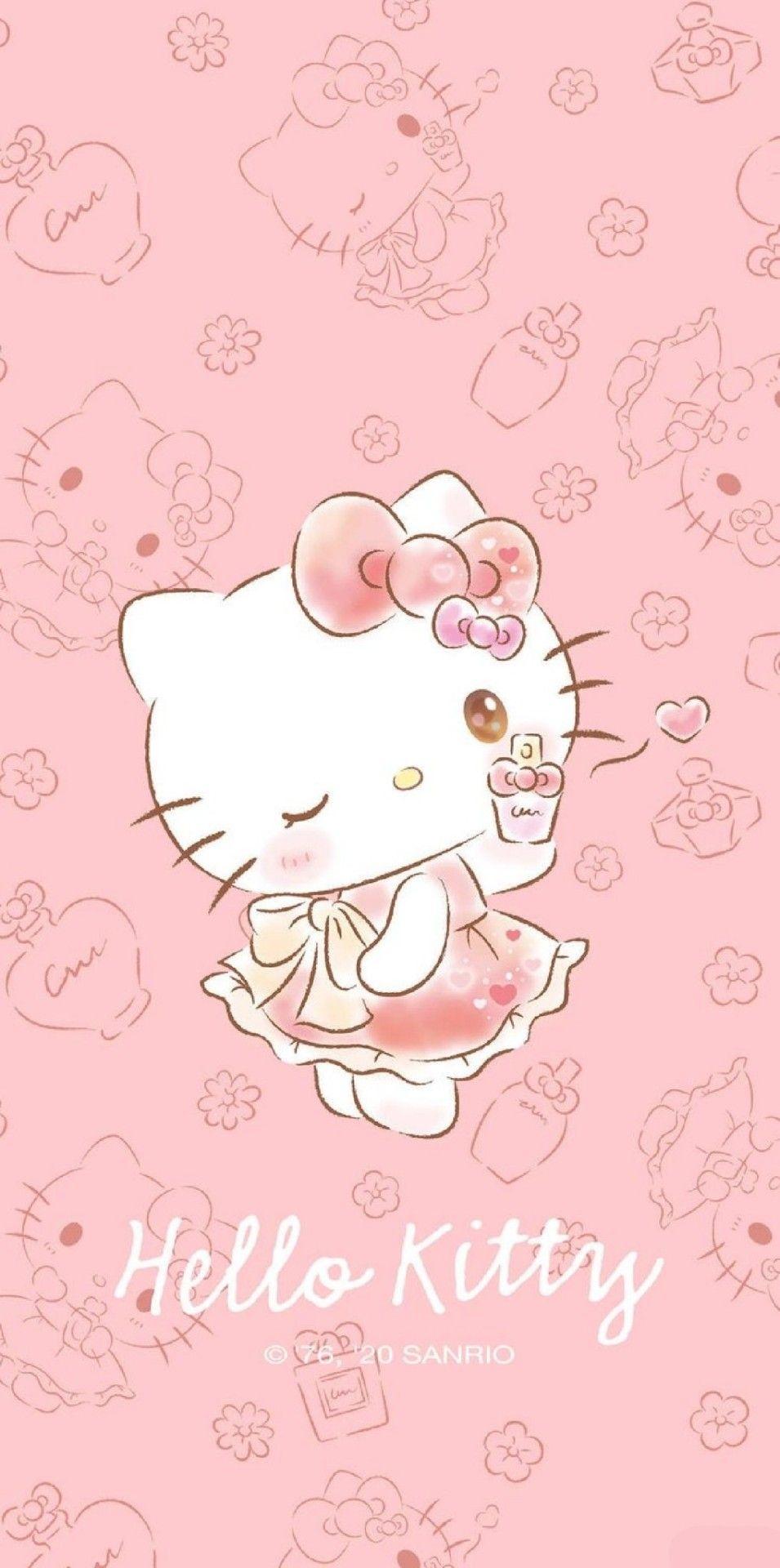 Sanio Wallpapers - Top Free Sanio Backgrounds - WallpaperAccess