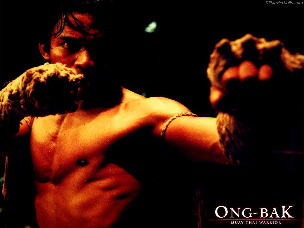 Ong-Bak Wallpapers - Top Free Ong-Bak Backgrounds - WallpaperAccess