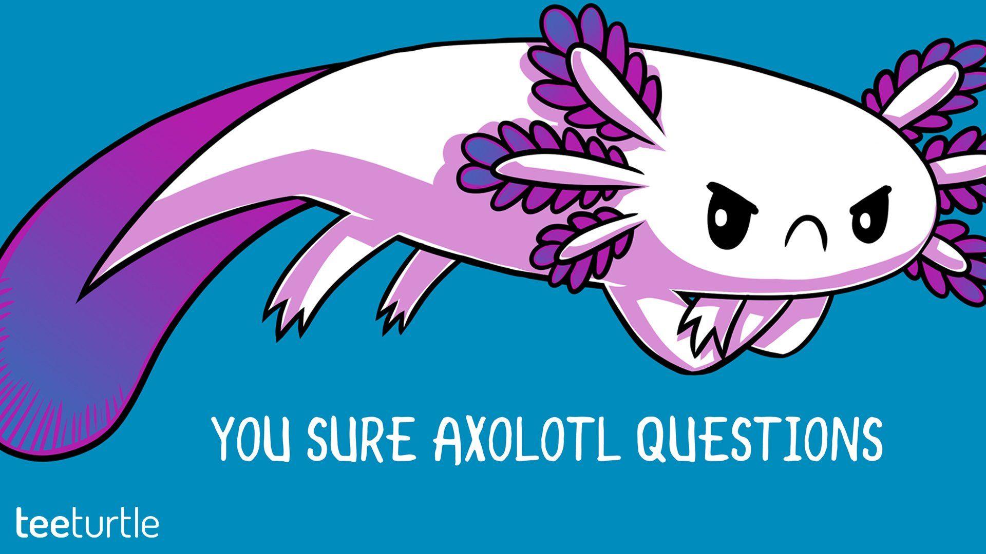 Kawaii Axolotl Wallpapers - Top Free Kawaii Axolotl Backgrounds ...