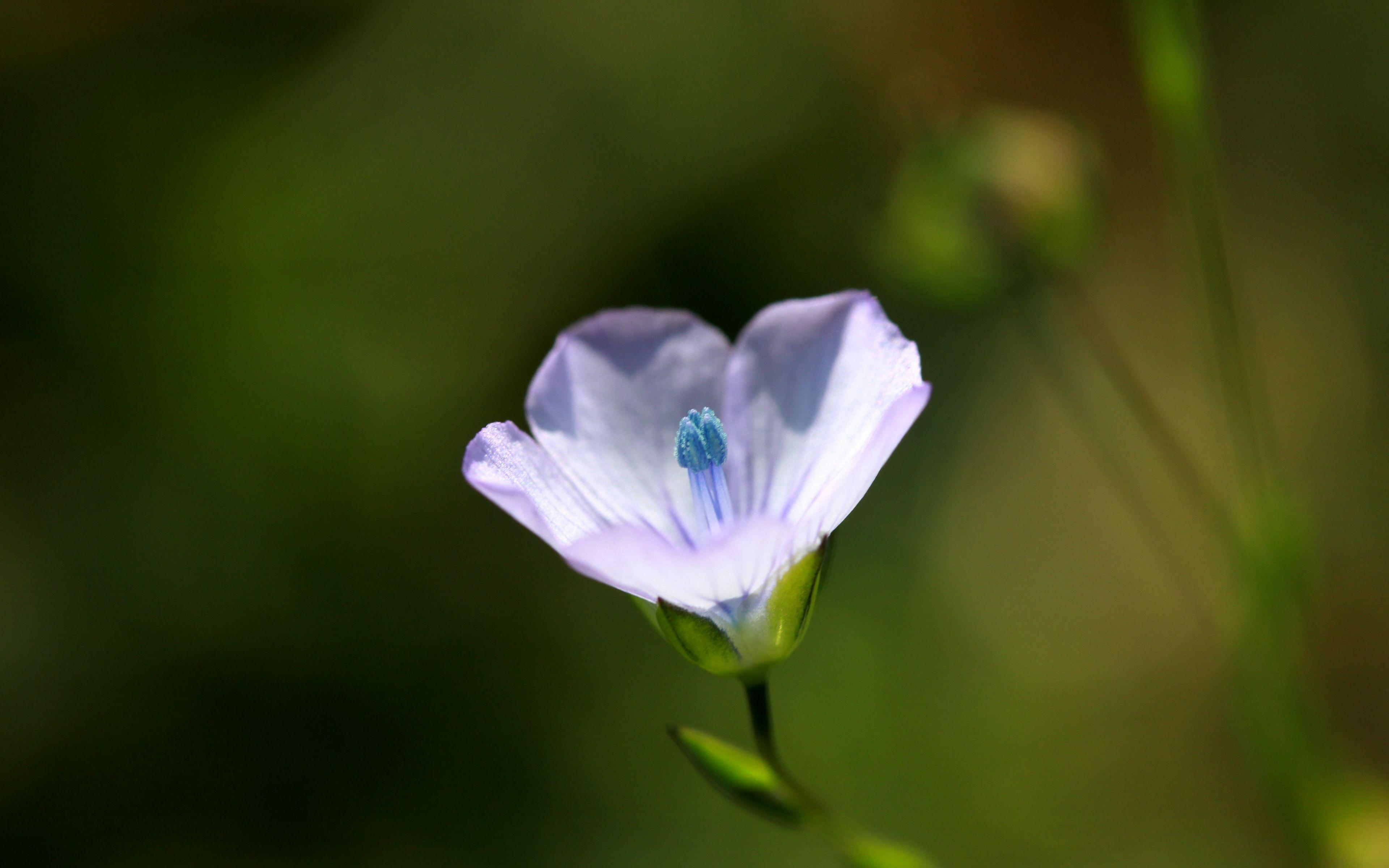 4K Bright Wallpapers - Top Free 4K Bright Backgrounds - WallpaperAccess