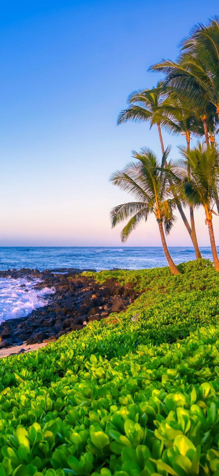 Iphone 13 Pro Max Wallpapers - Top Free Iphone 13 Pro Max Backgrounds ...