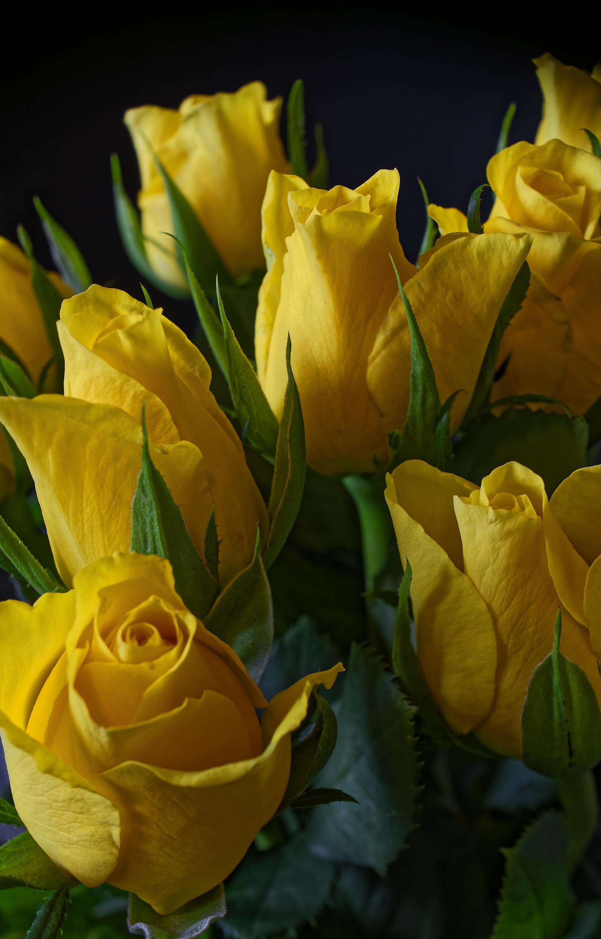 1920X3000 Wallpapers - Top Free 1920X3000 Backgrounds - WallpaperAccess