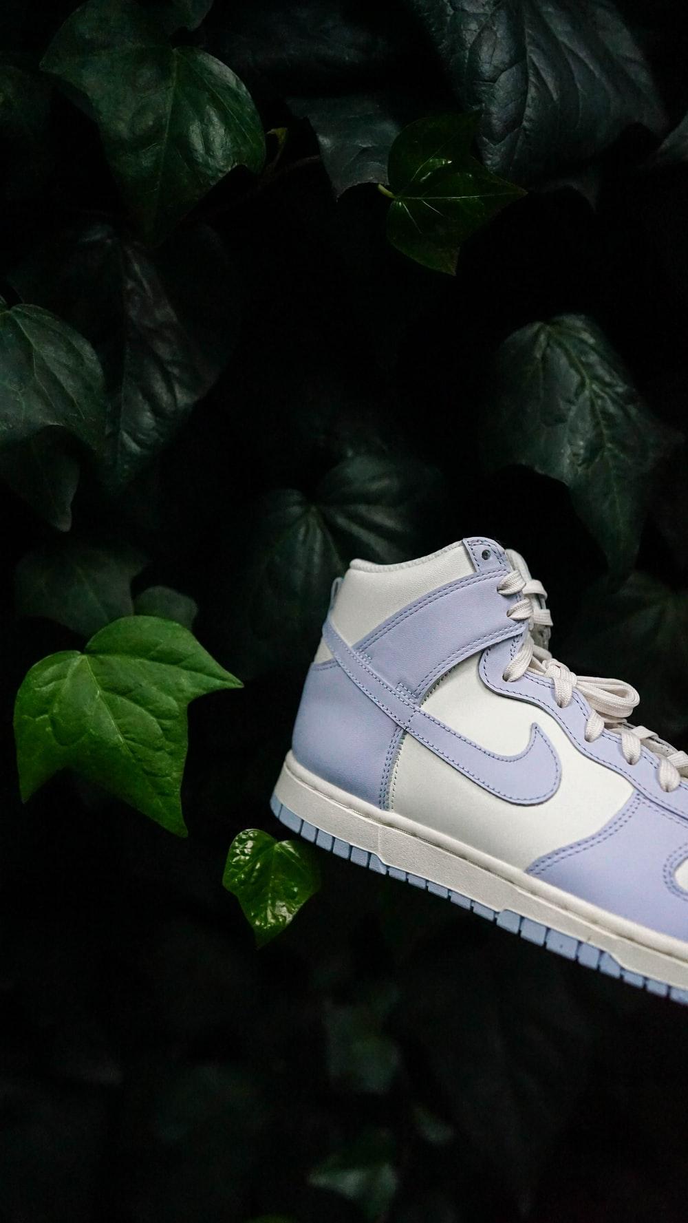 Nike Dunk Wallpapers - Top Free Nike Dunk Backgrounds - WallpaperAccess